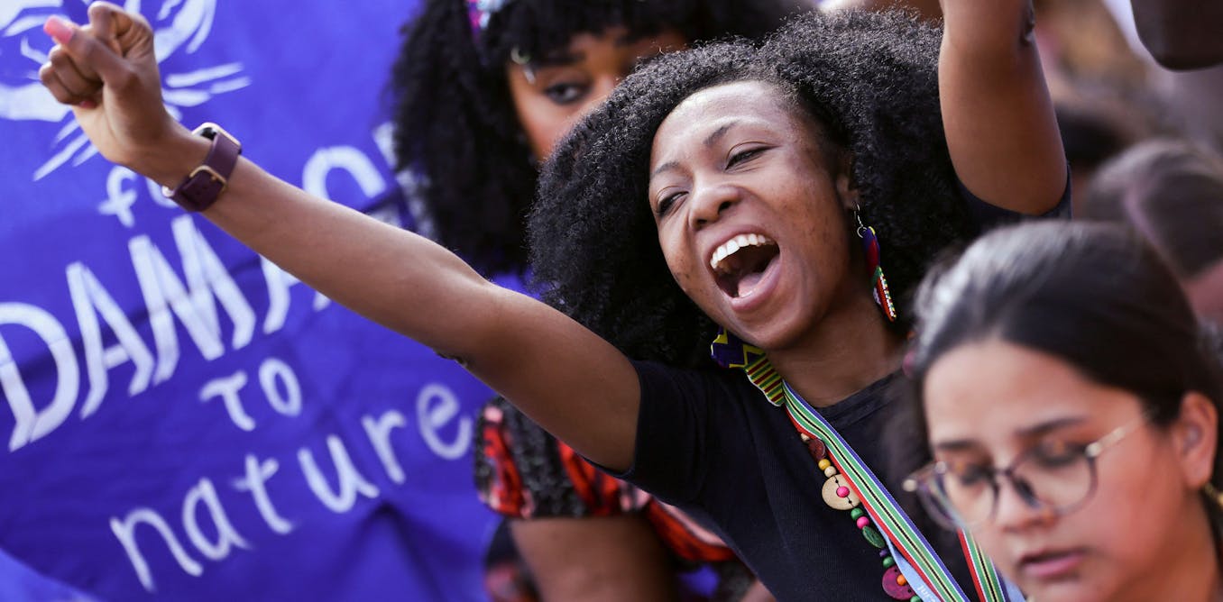 Cop27 How The Fossil Fuel Lobby Crowded Out Calls For Climate Justice