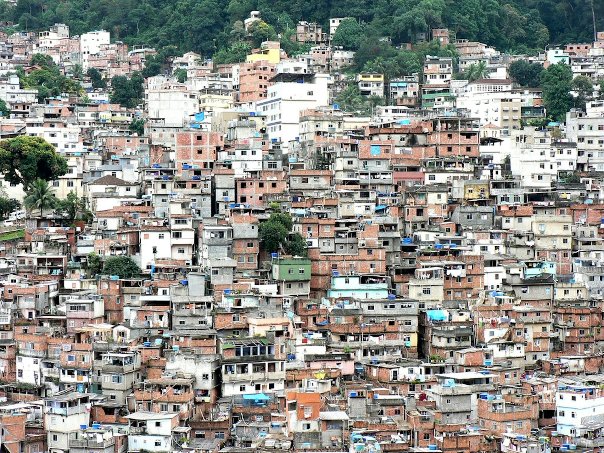 Population is only part of the environmental impact equation