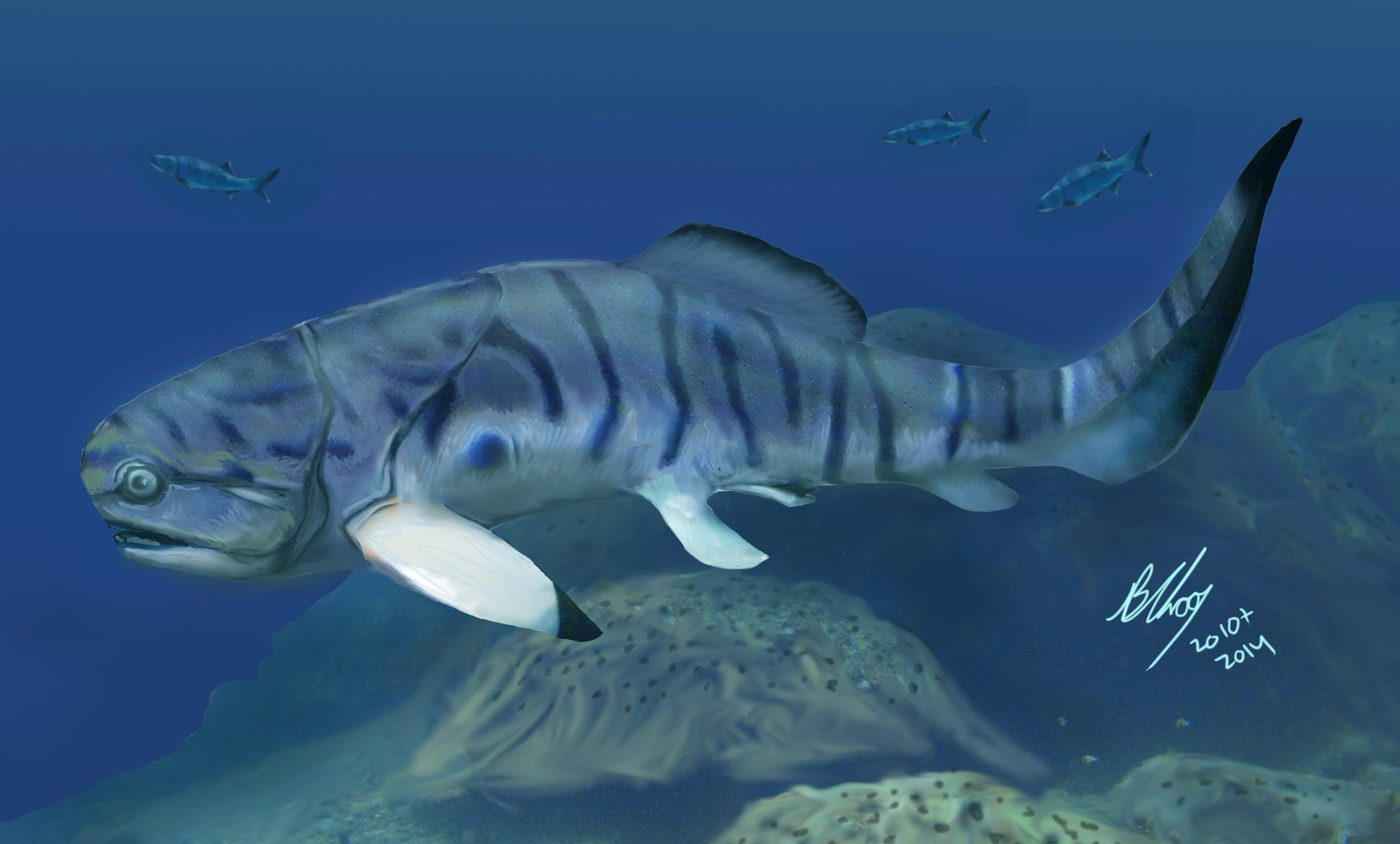 The first vertebrate sexual organs evolved as an extra pair of legs