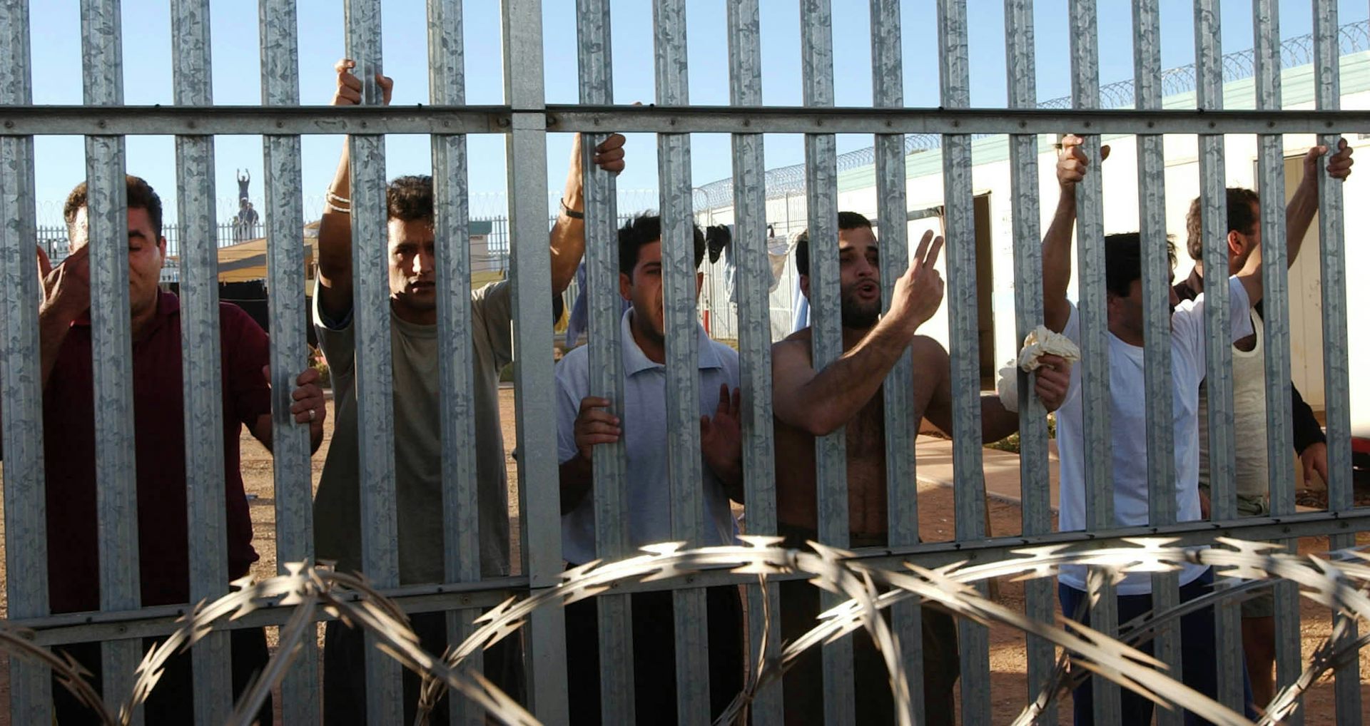 In Australia, animals have better rights than asylum seekers