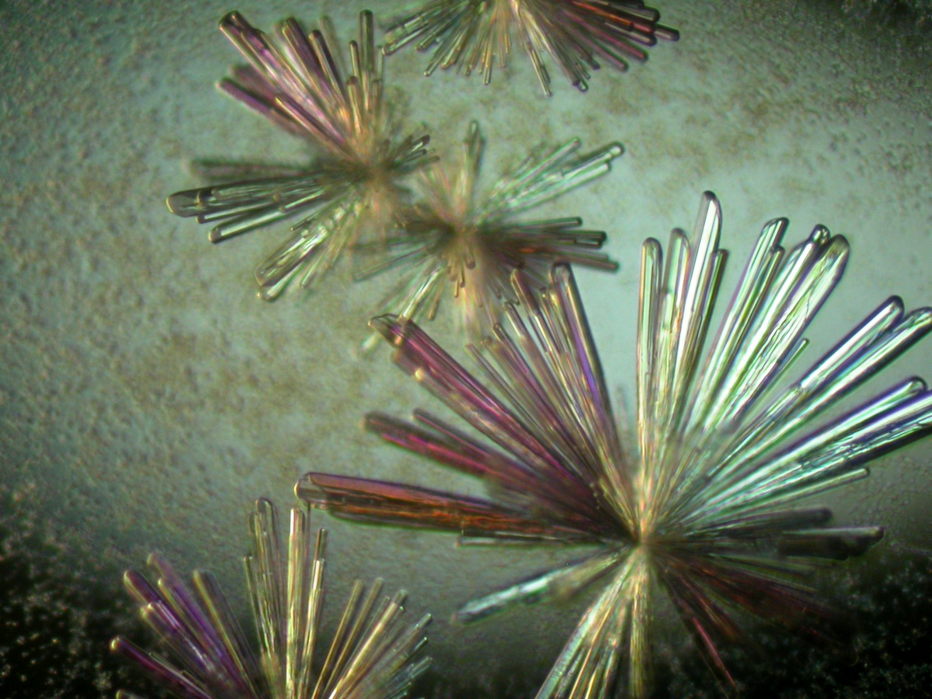 X-rays shine light on atoms at work in a chemical reaction