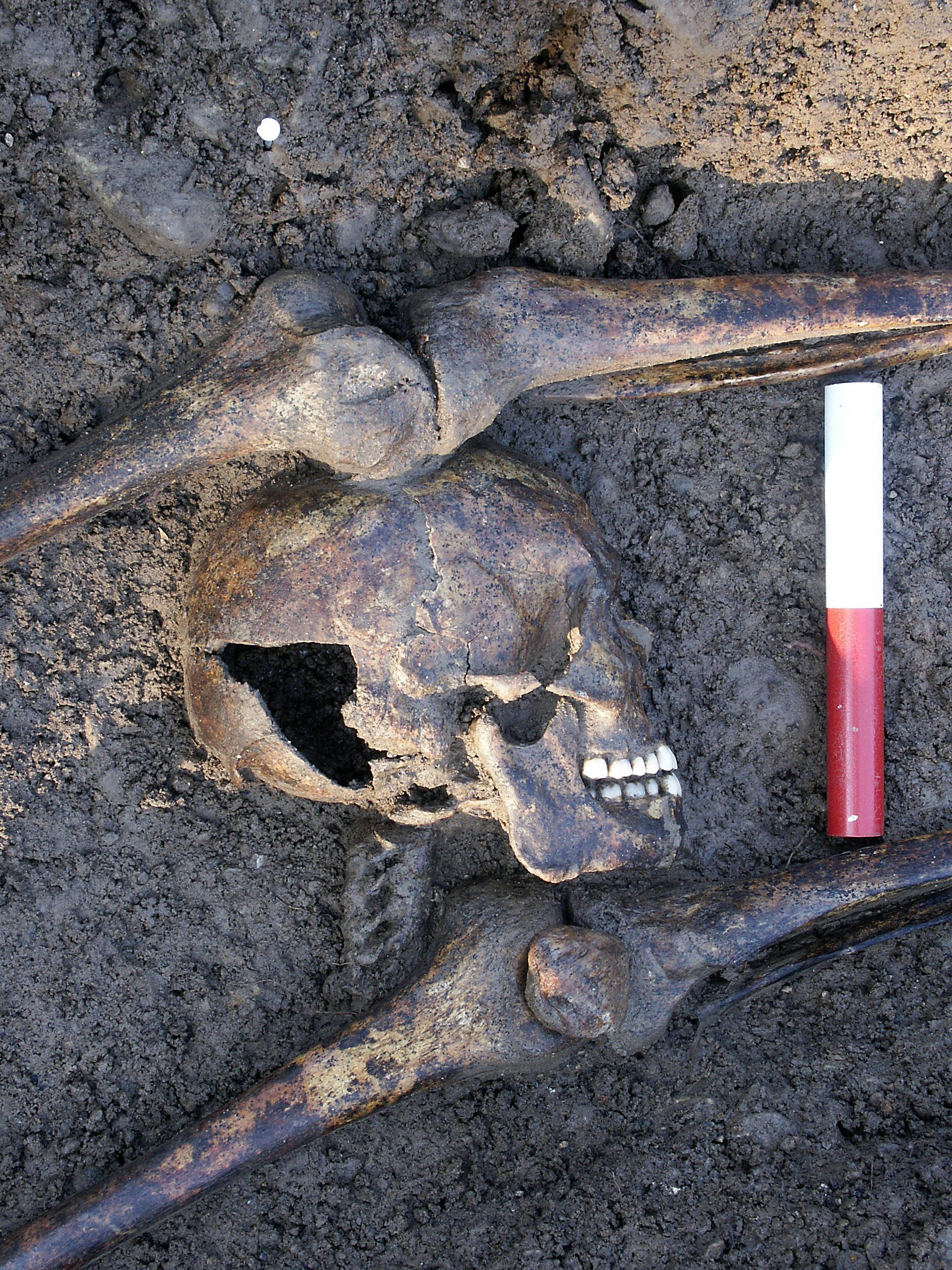 Were there gladiators in Roman Britain? An expert reviews the evidence