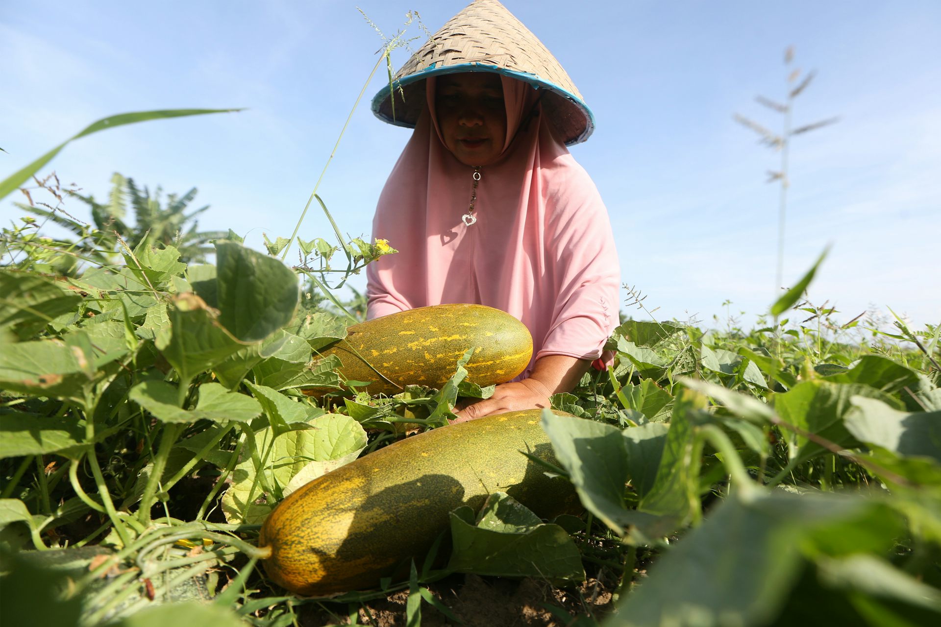 Pendidikan bagi perempuan di pedesaan masih sangat rendah dan timpang ...