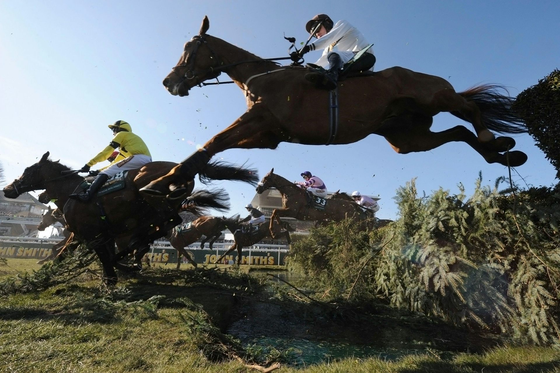 Grand National protests: Animal Rising campaigners reveal how ...