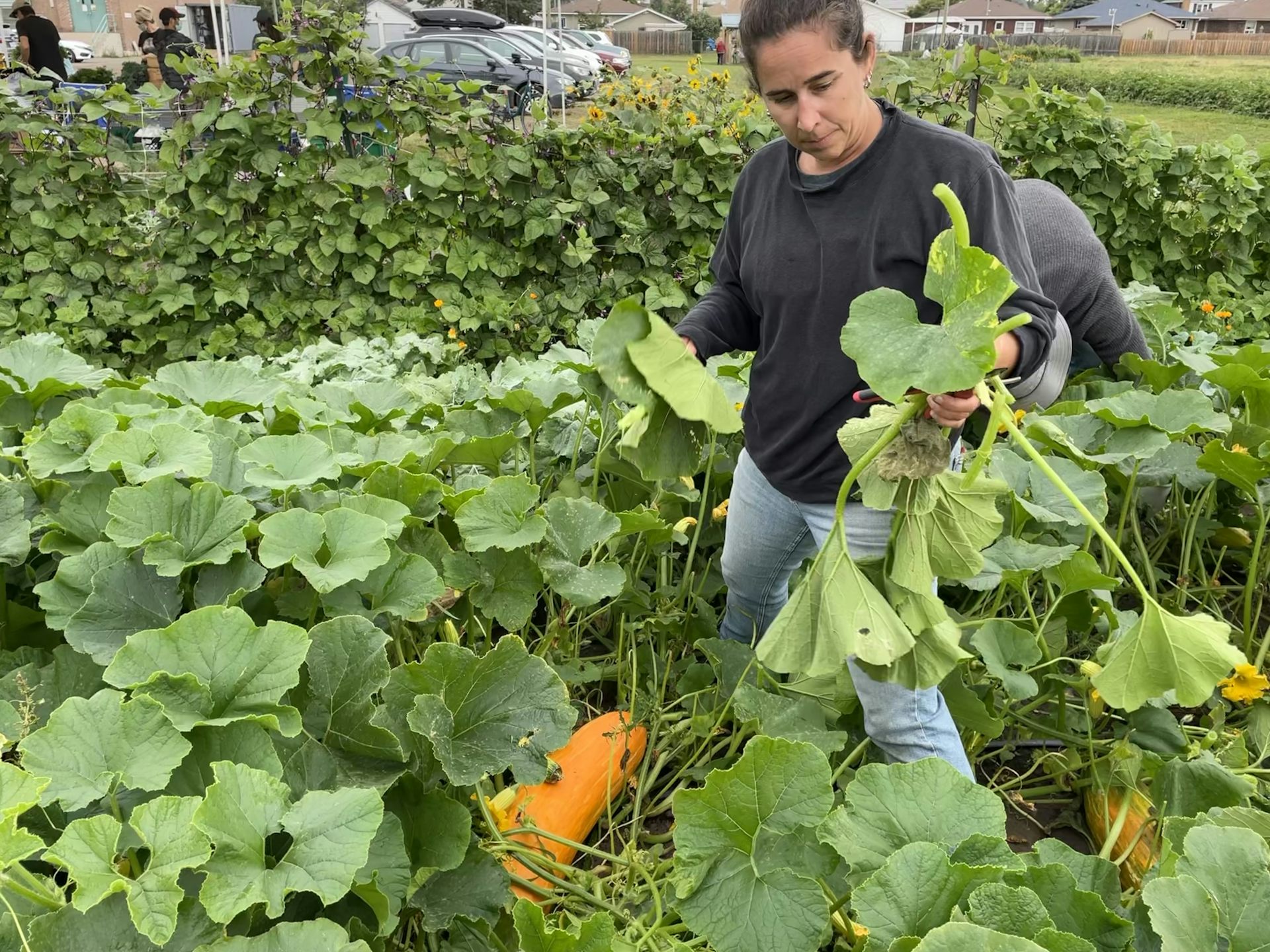Un revenu de base garanti pour un système alimentaire plus juste et ...
