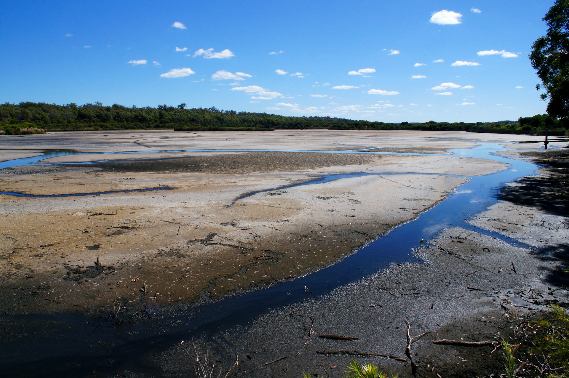 Saving water in a drying climate: lessons from south-west Australia