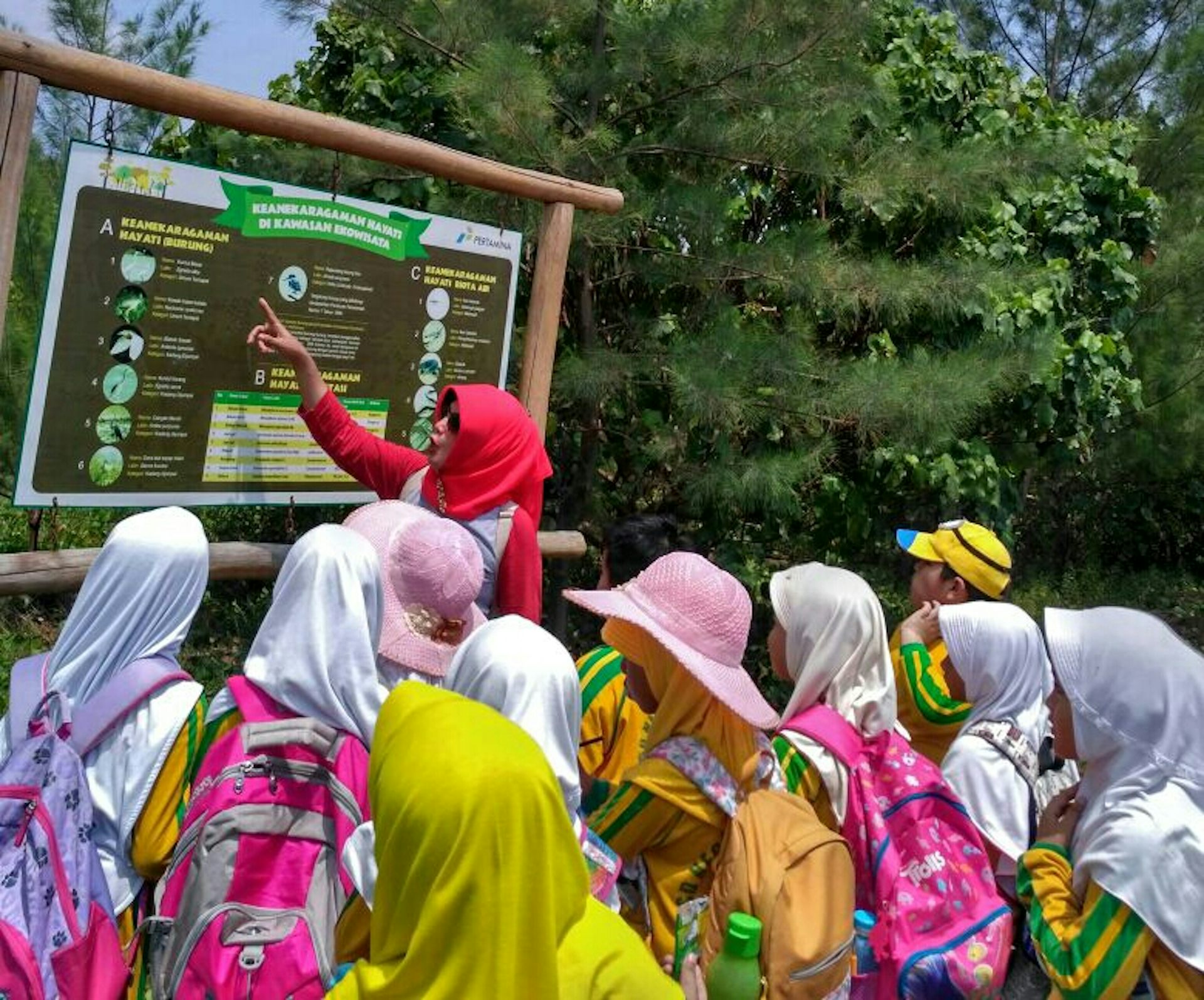 3 cara agar pendidikan bisa jadi solusi perubahan iklim