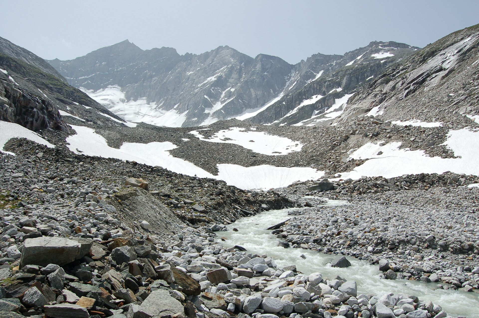 Melting glaciers in the Alps will eradicate some invertebrates that are ...