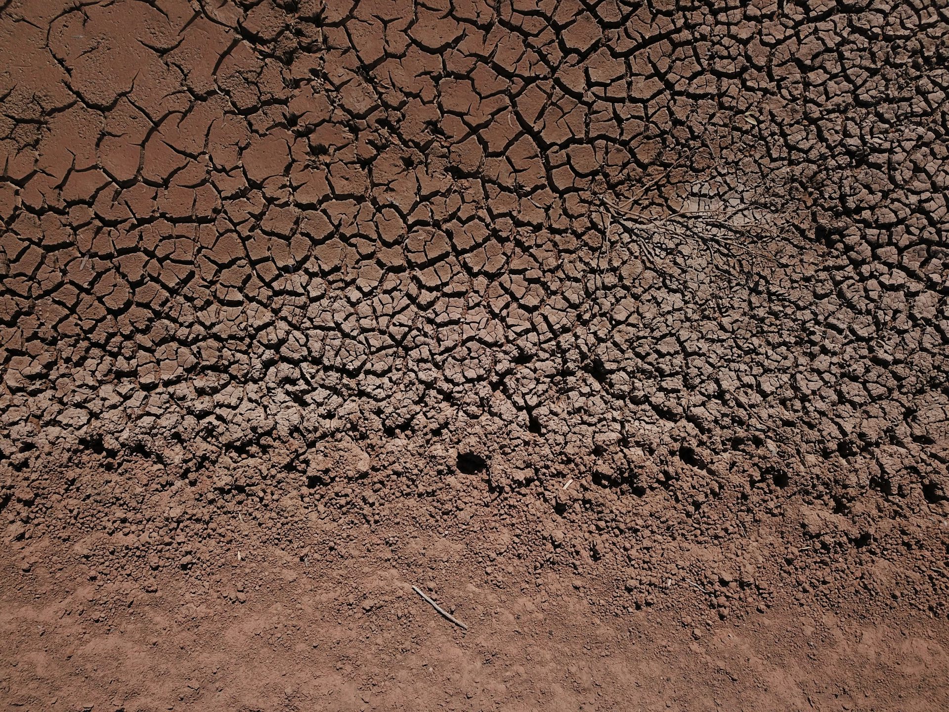 New study helps solve a 30-year-old puzzle: how is climate change ...