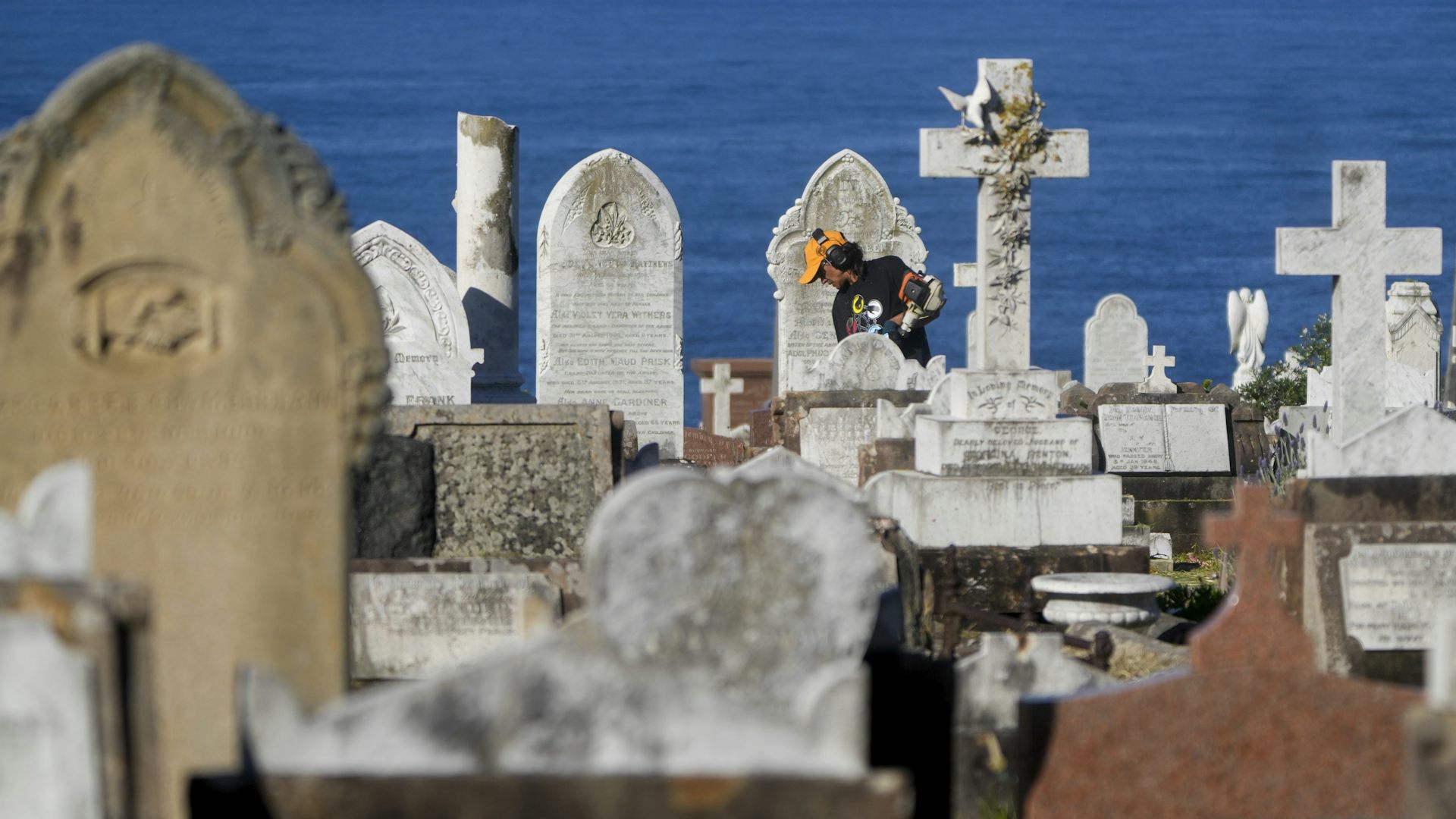 Our cemeteries face a housing crisis too. 4 changes can make burial ...