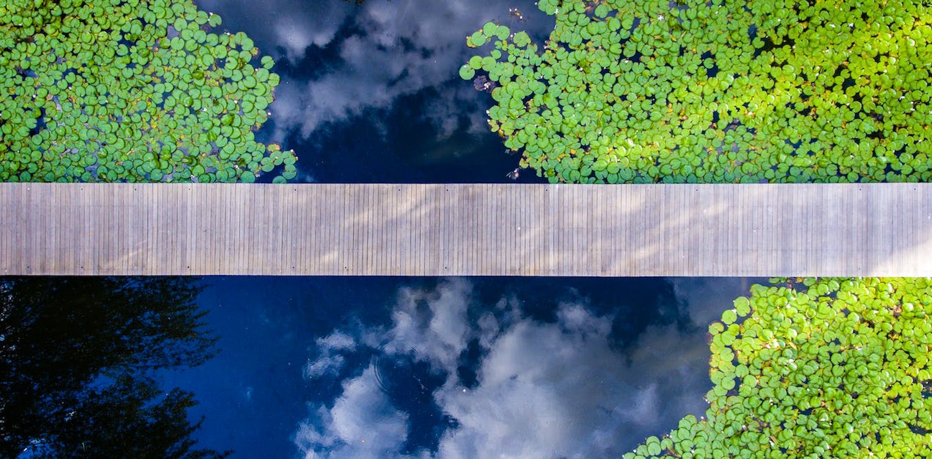 Selain perubahan iklim, ada 5 perubahan di Bumi yang nyaris melampaui ...
