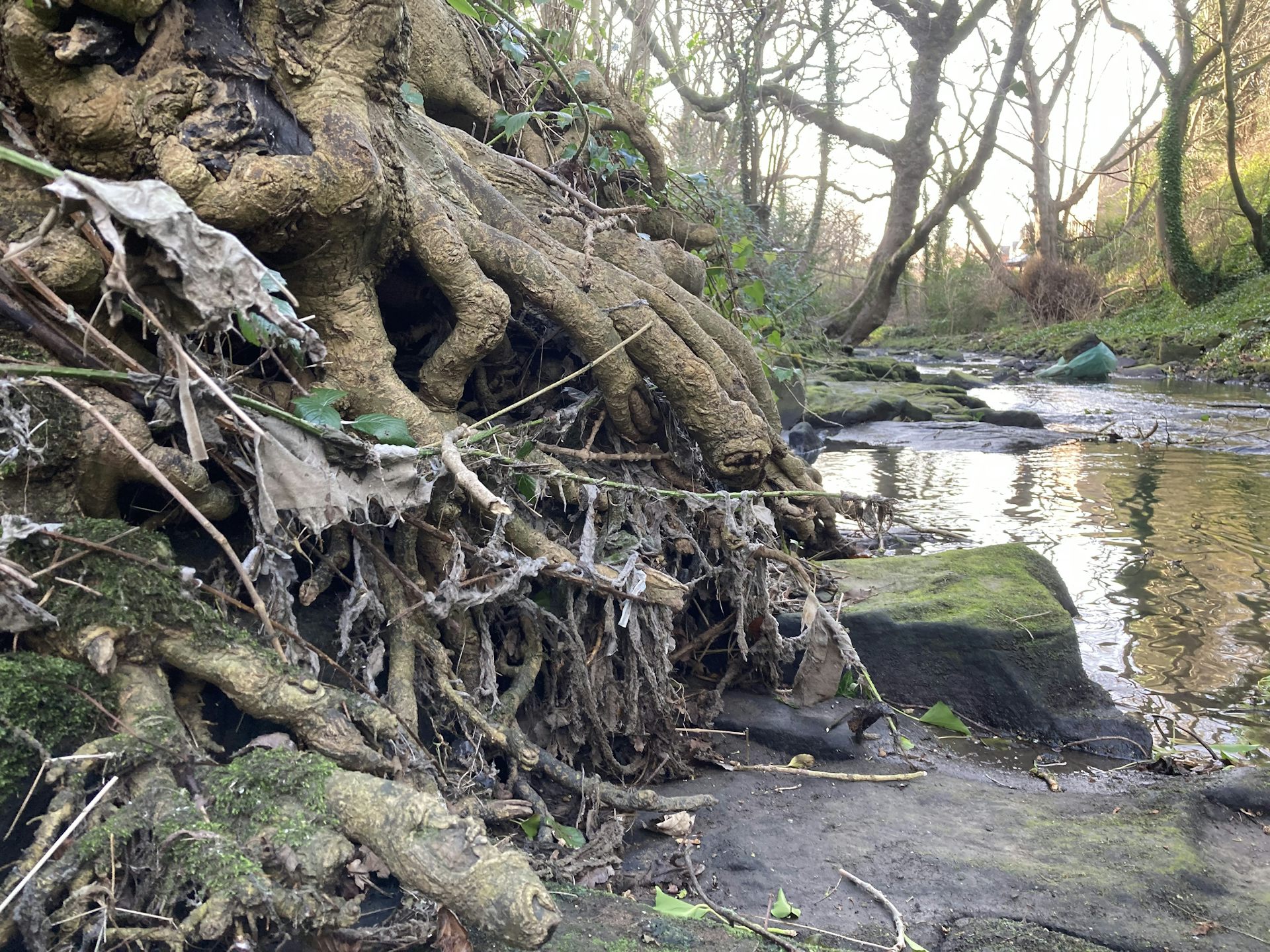 Five ways to know if a river is polluted – and whether it’s safe to go ...