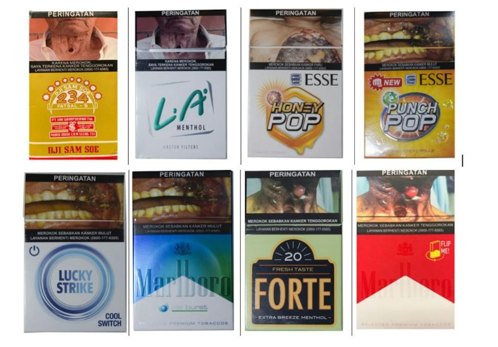 Riset: kandungan kimia rokok berperasa di Indonesia kaburkan bahaya rokok