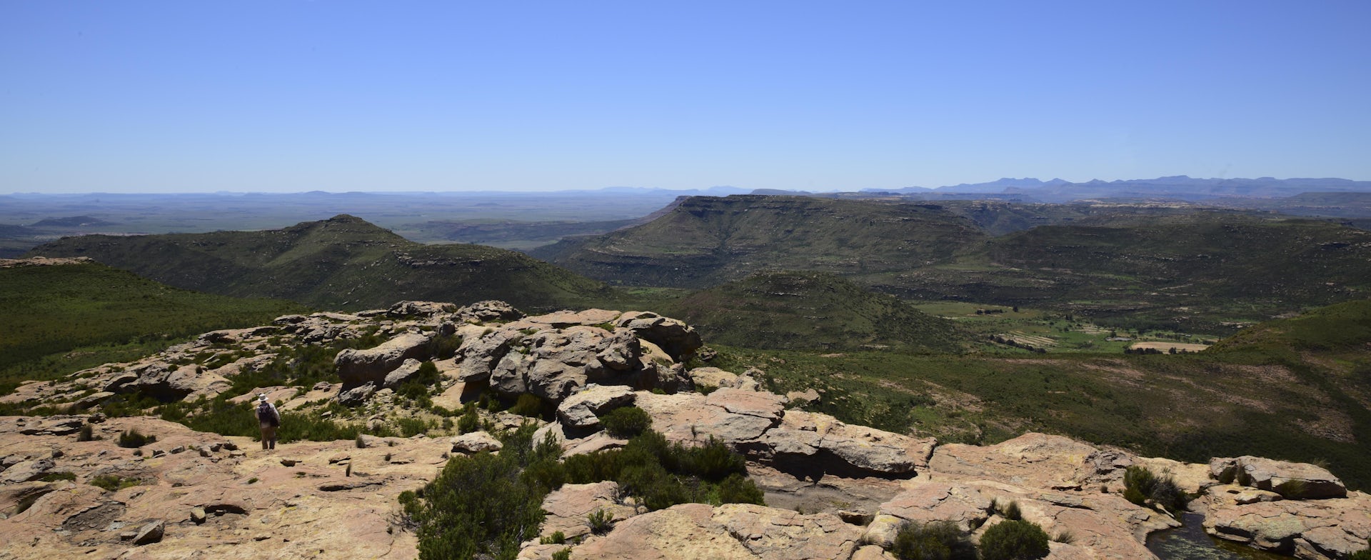 Unicorns in southern Africa: the fascinating story behind one-horned ...