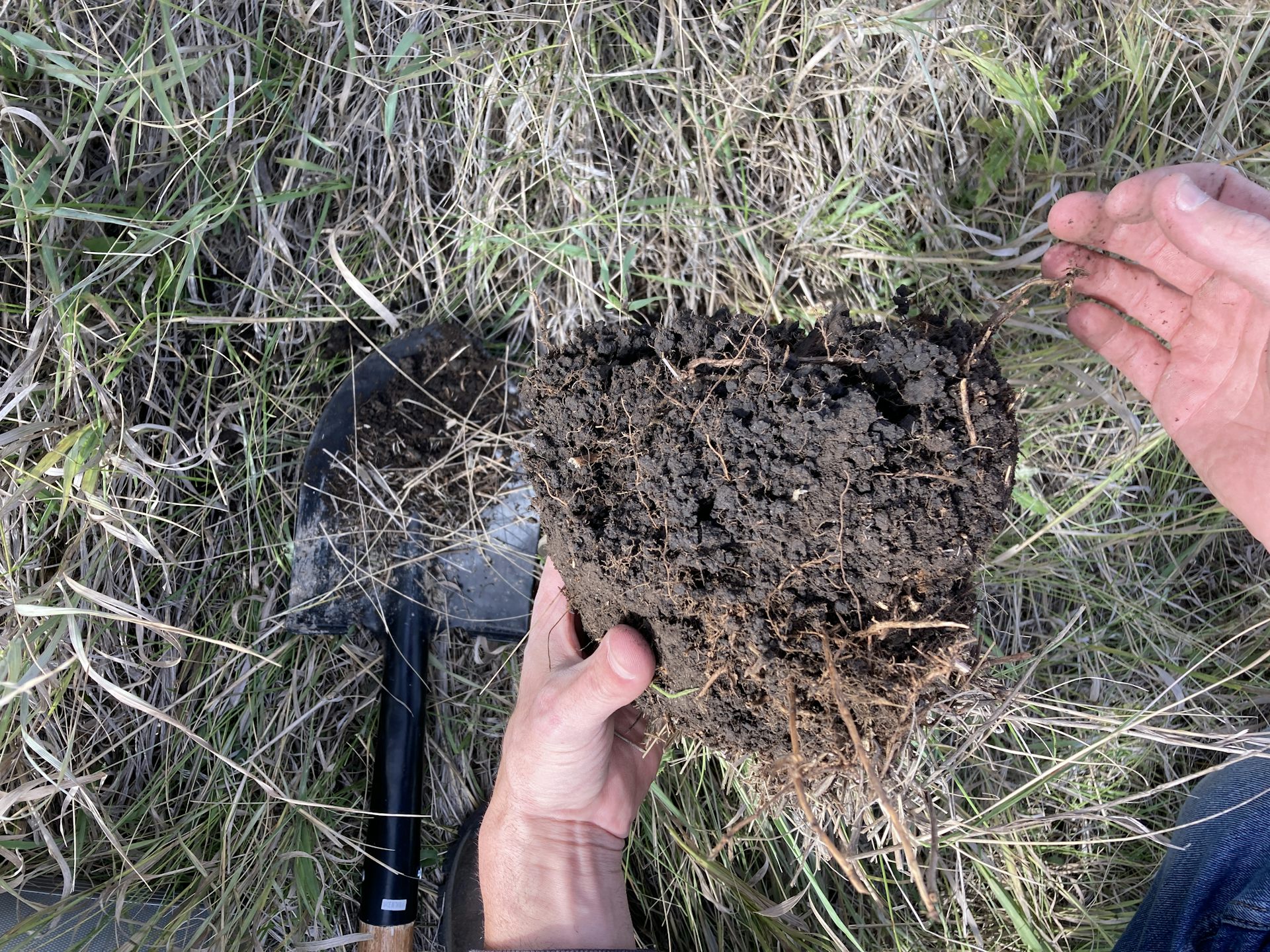 What listening to the soil can tell us about our relationship with the land