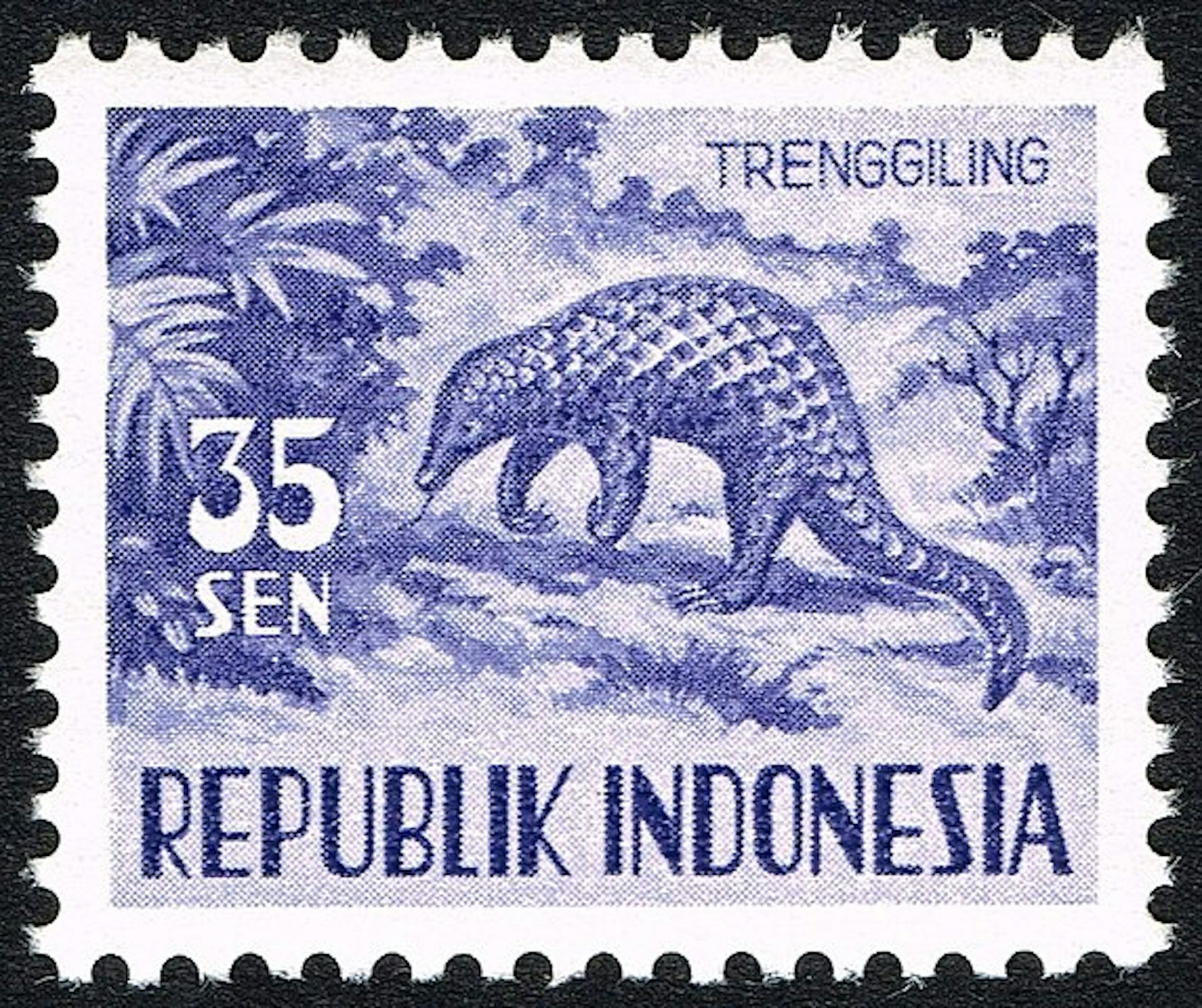 Sejarah kelam perburuan trenggiling yang mengakibatkan satwa ini nyaris ...