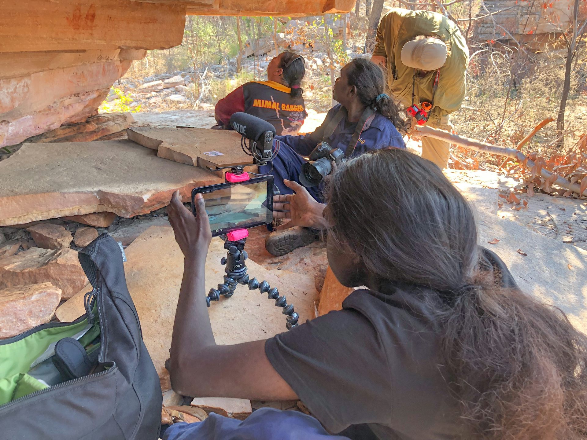 Indigenous knowledges informing ‘machine learning’ could prevent stolen ...