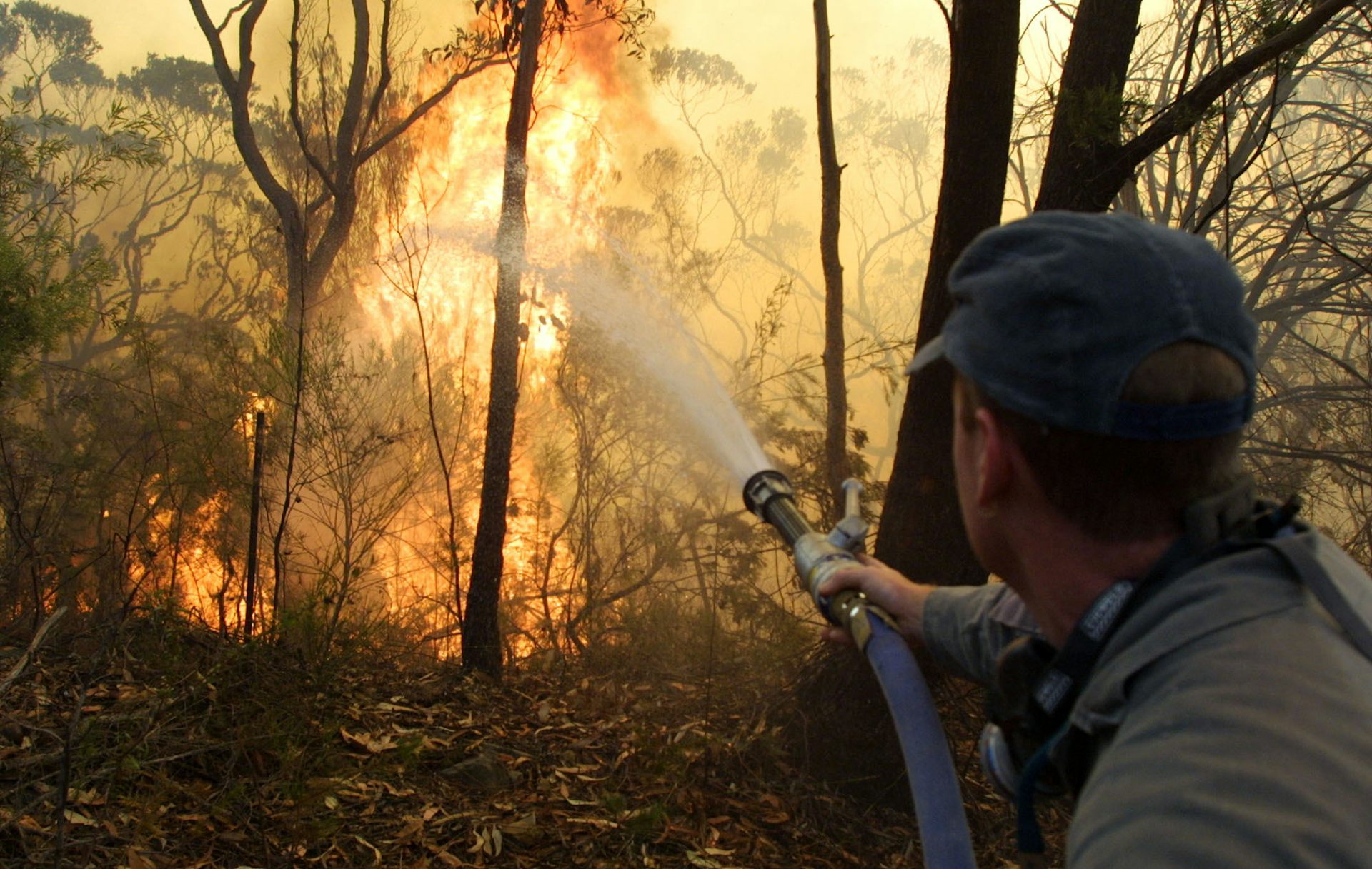 Yes, climate change is bringing bushfires more often. But some ...