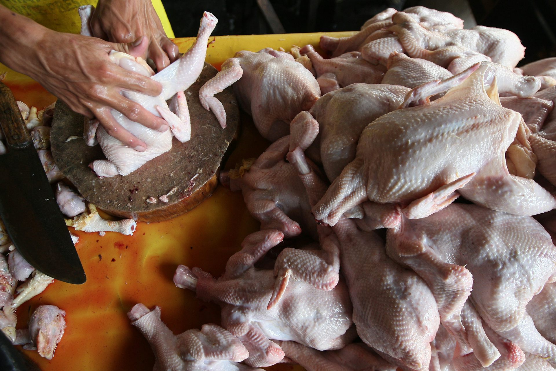Two-thirds of chicken is contaminated – and demand for cheap food is to ...