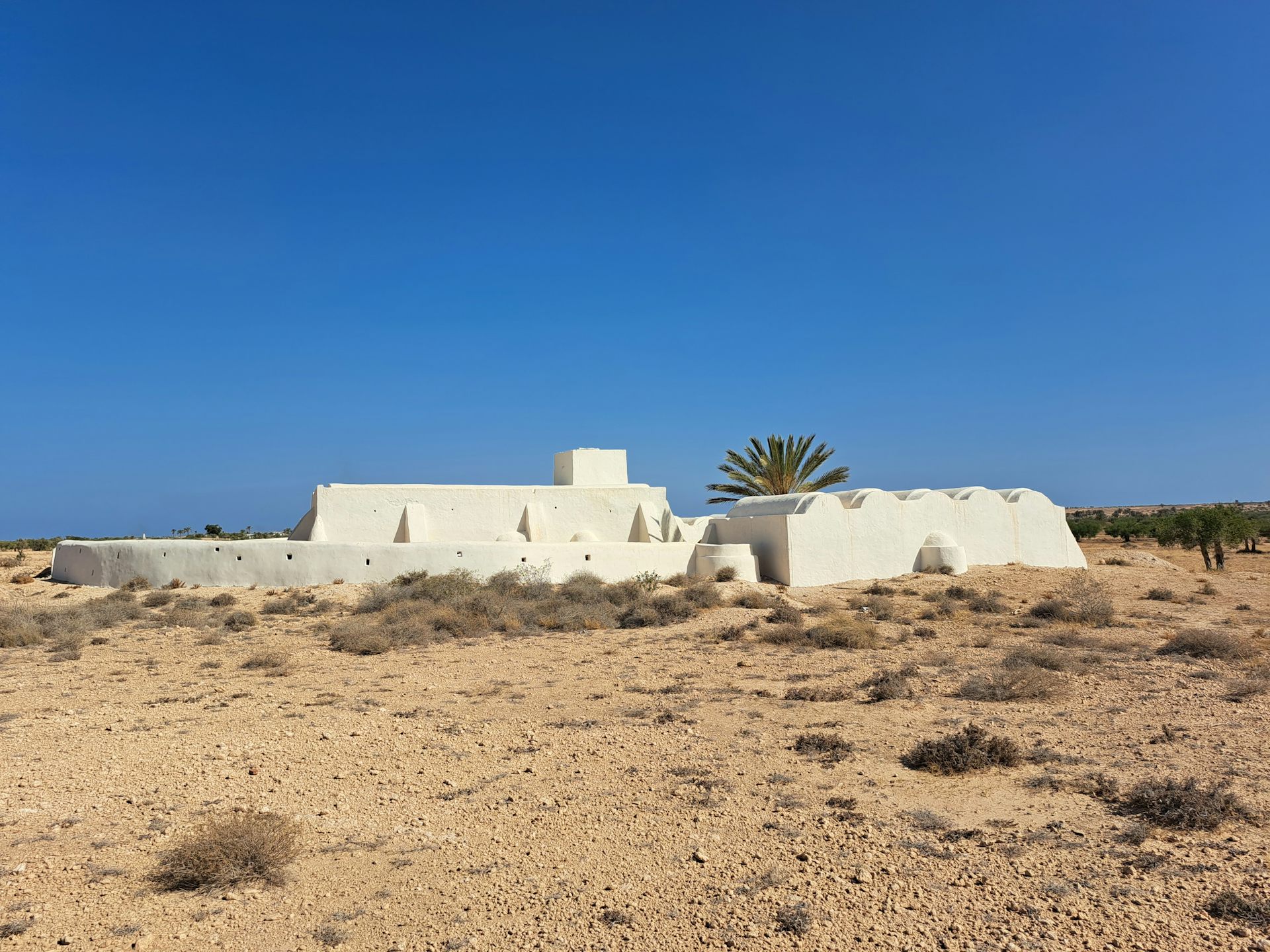 Djerba classé patrimoine mondial : un succès en forme de défi