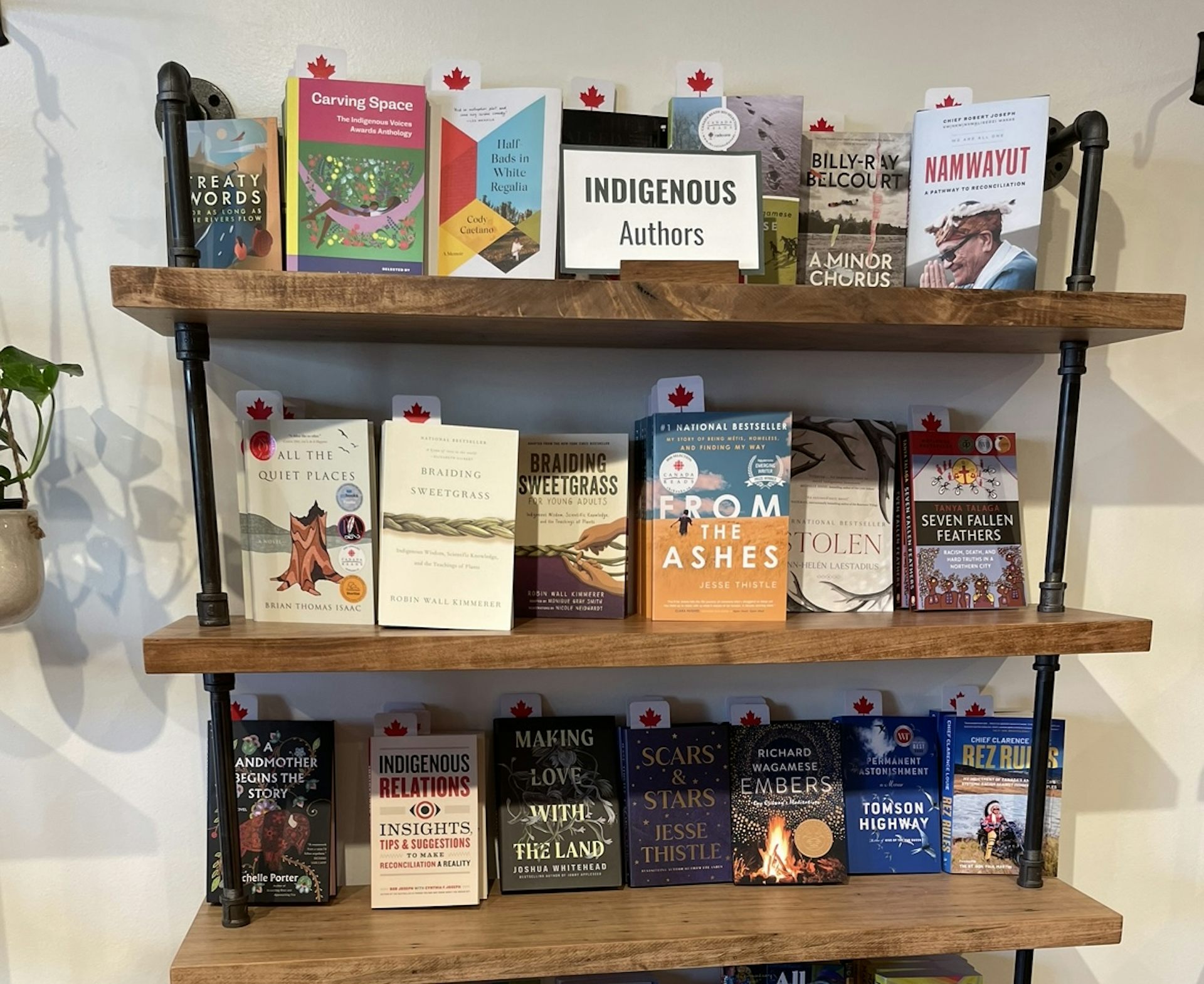 Indigenous-authored novels: 5 great contemporary reads for young adults