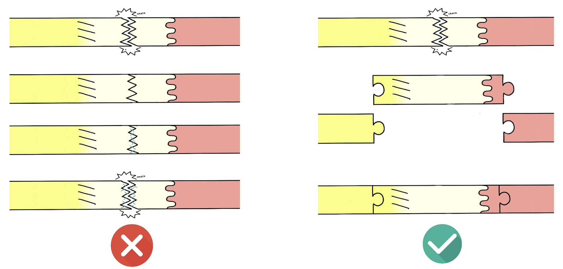 Reconstruire les jonctions os-tendon-muscle en laboratoire : un défi ...