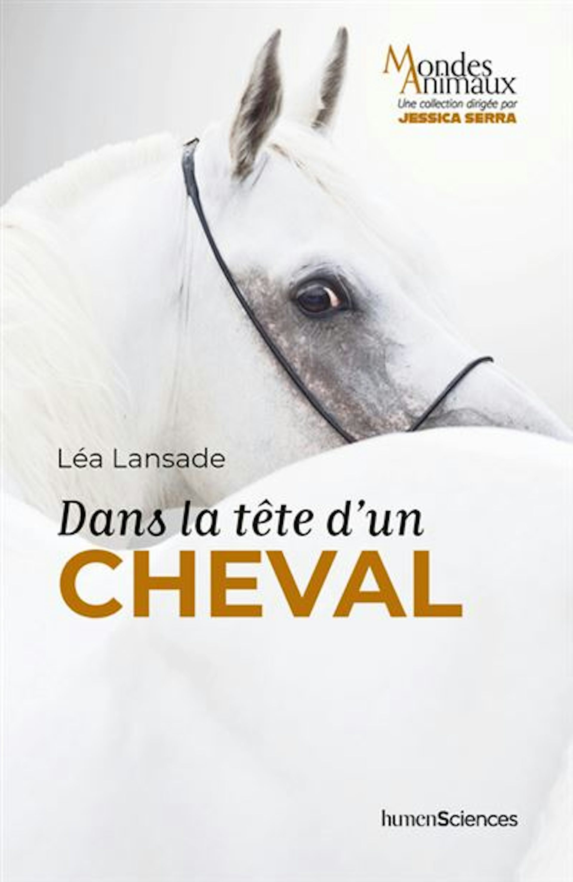 Les chevaux nous reconnaissent-ils
