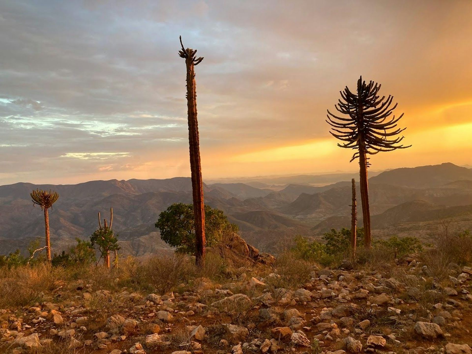 Namibia and Angola’s remote Ovahimba mountains reveal a haven for ...