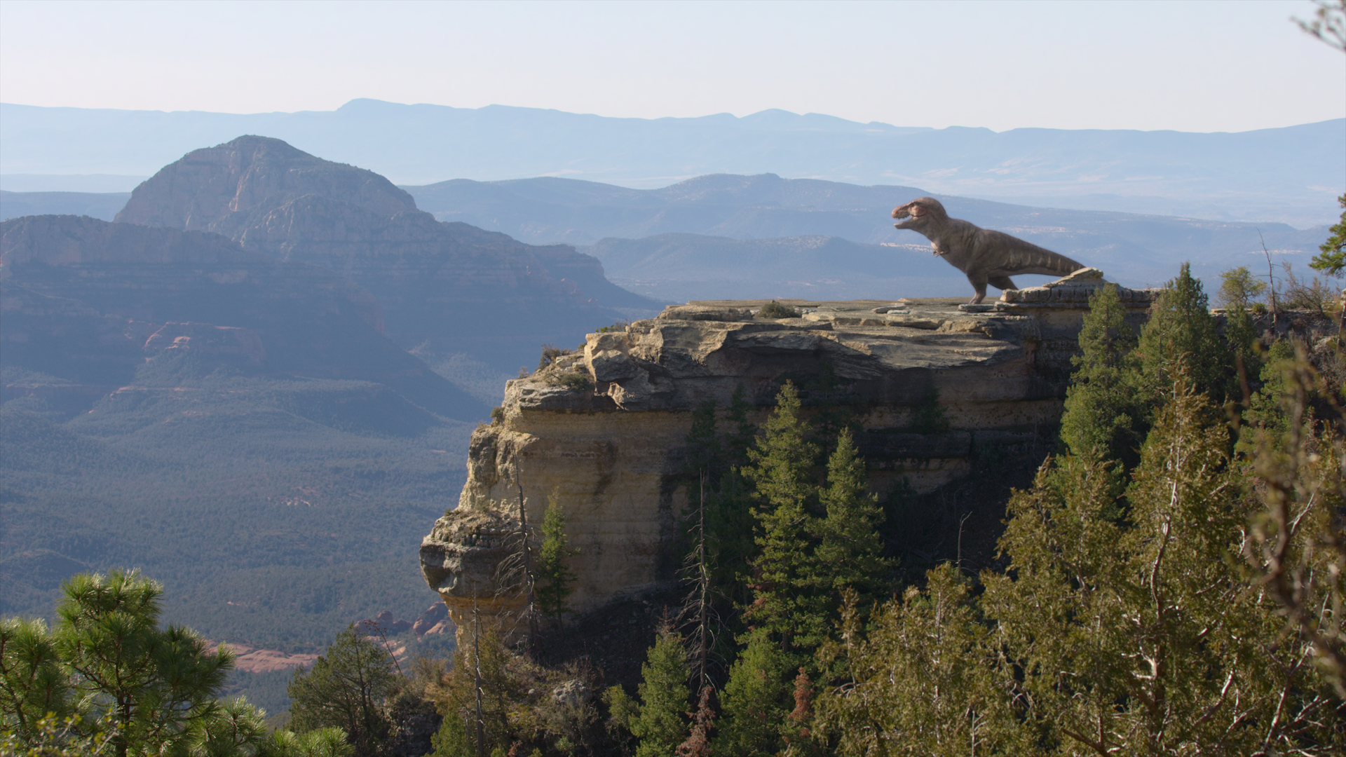 Life on Our Planet: evolution experts review this ‘hugely entertaining ...