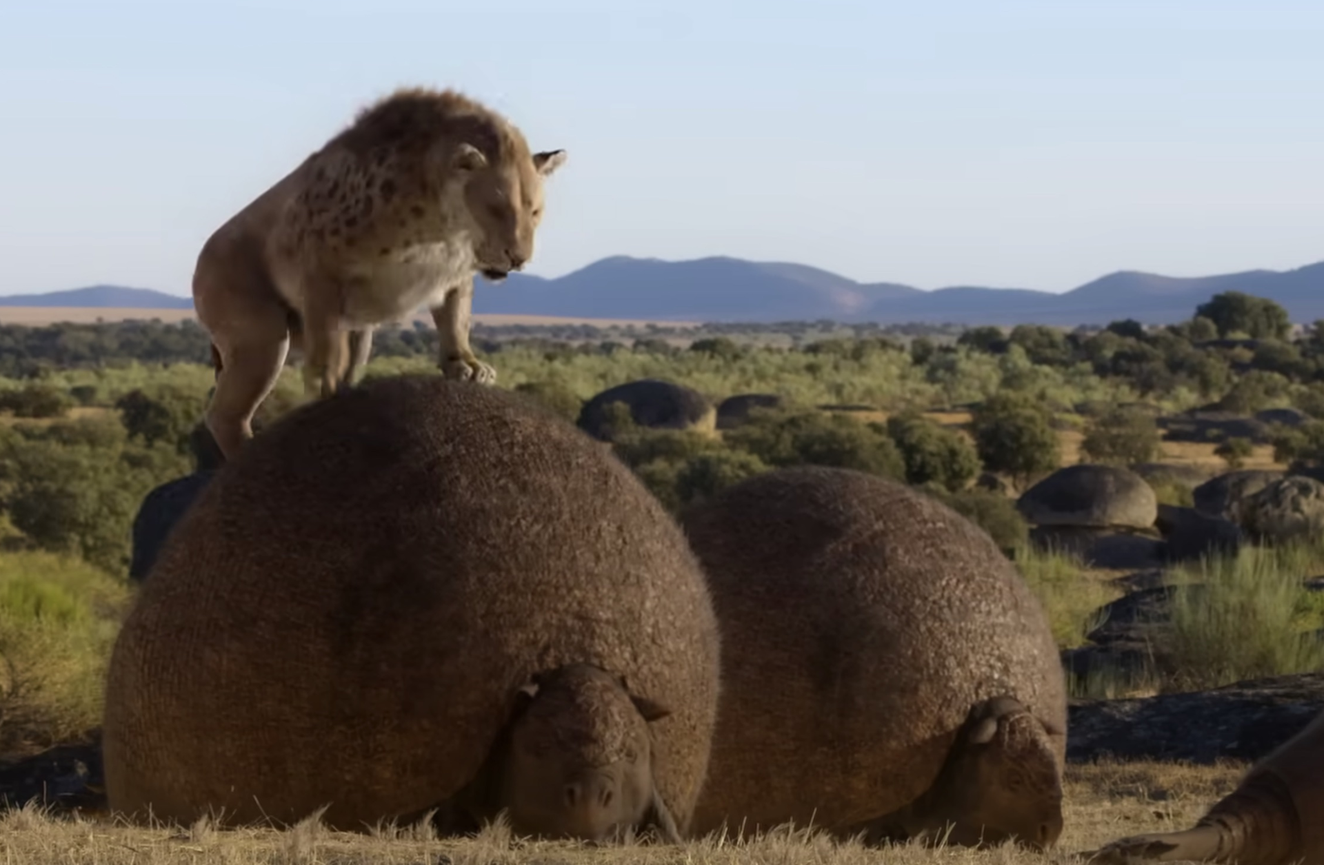 Life on Our Planet: evolution experts review this ‘hugely entertaining’ Netflix docuseries