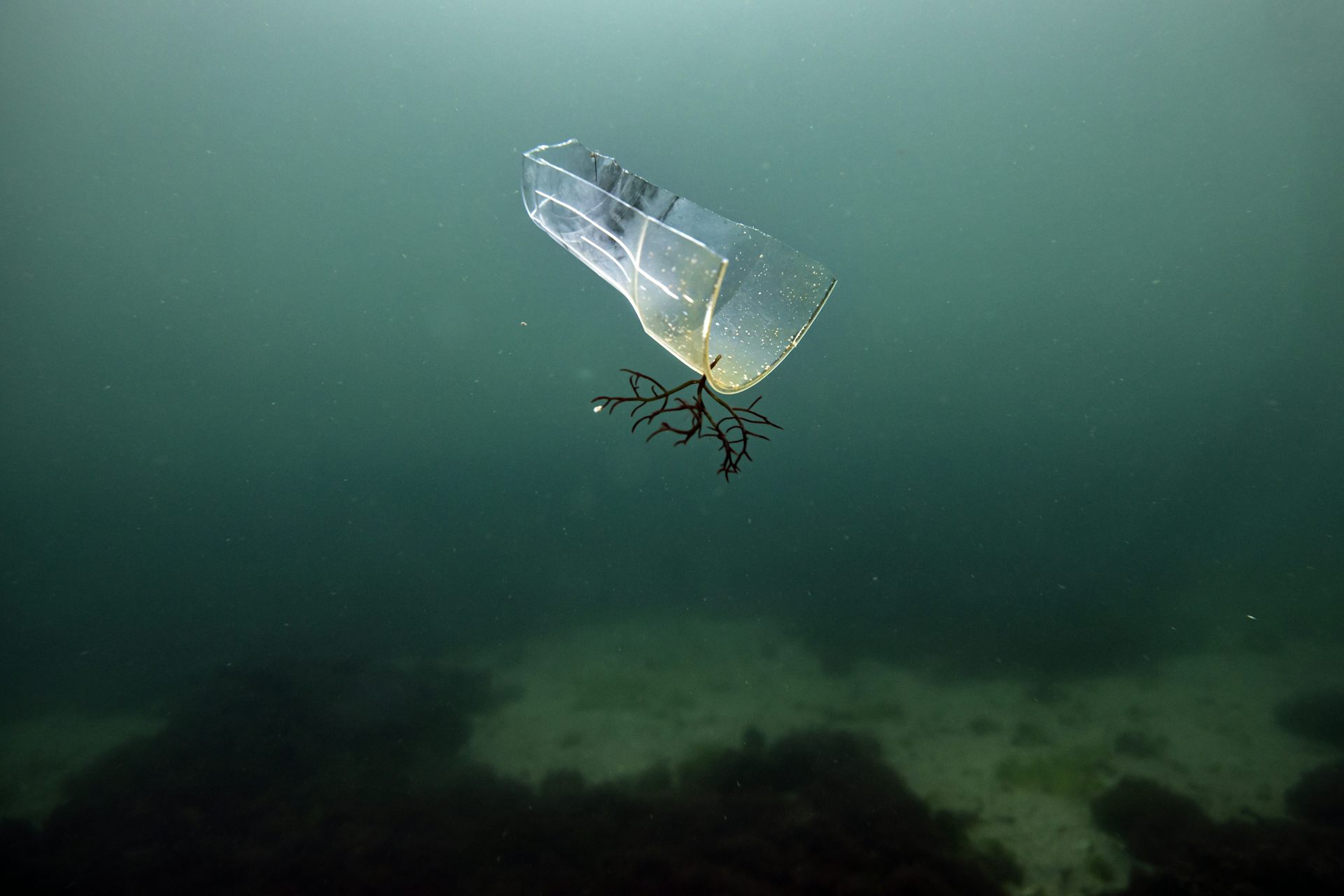 The climate impact of plastic pollution is negligible – the production ...