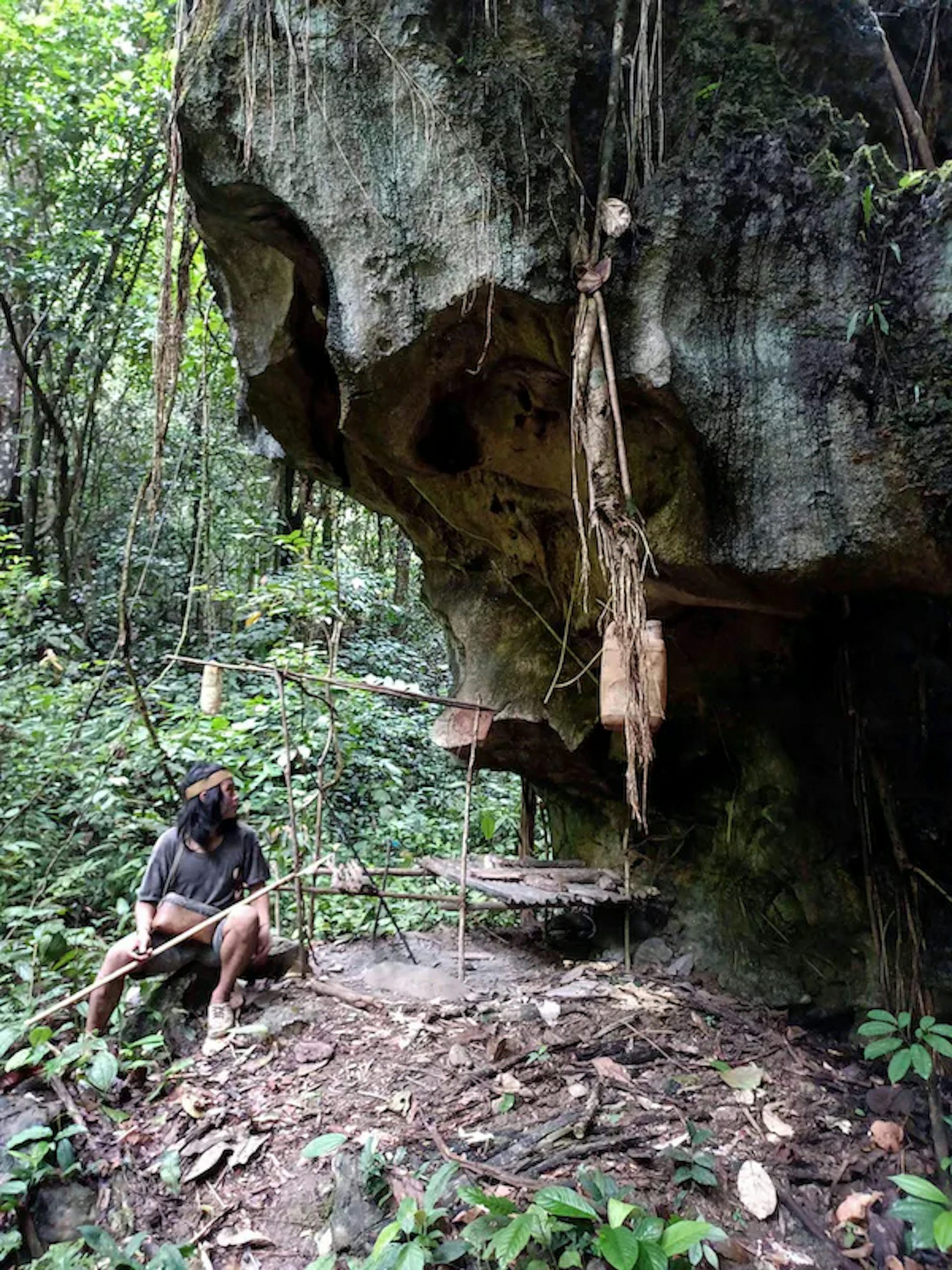New genetic research uncovers the lives of Bornean hunter-gatherers