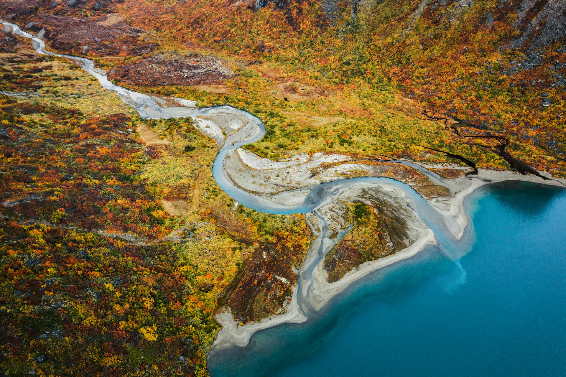 New unified theory shows how past landscapes drove the evolution of ...