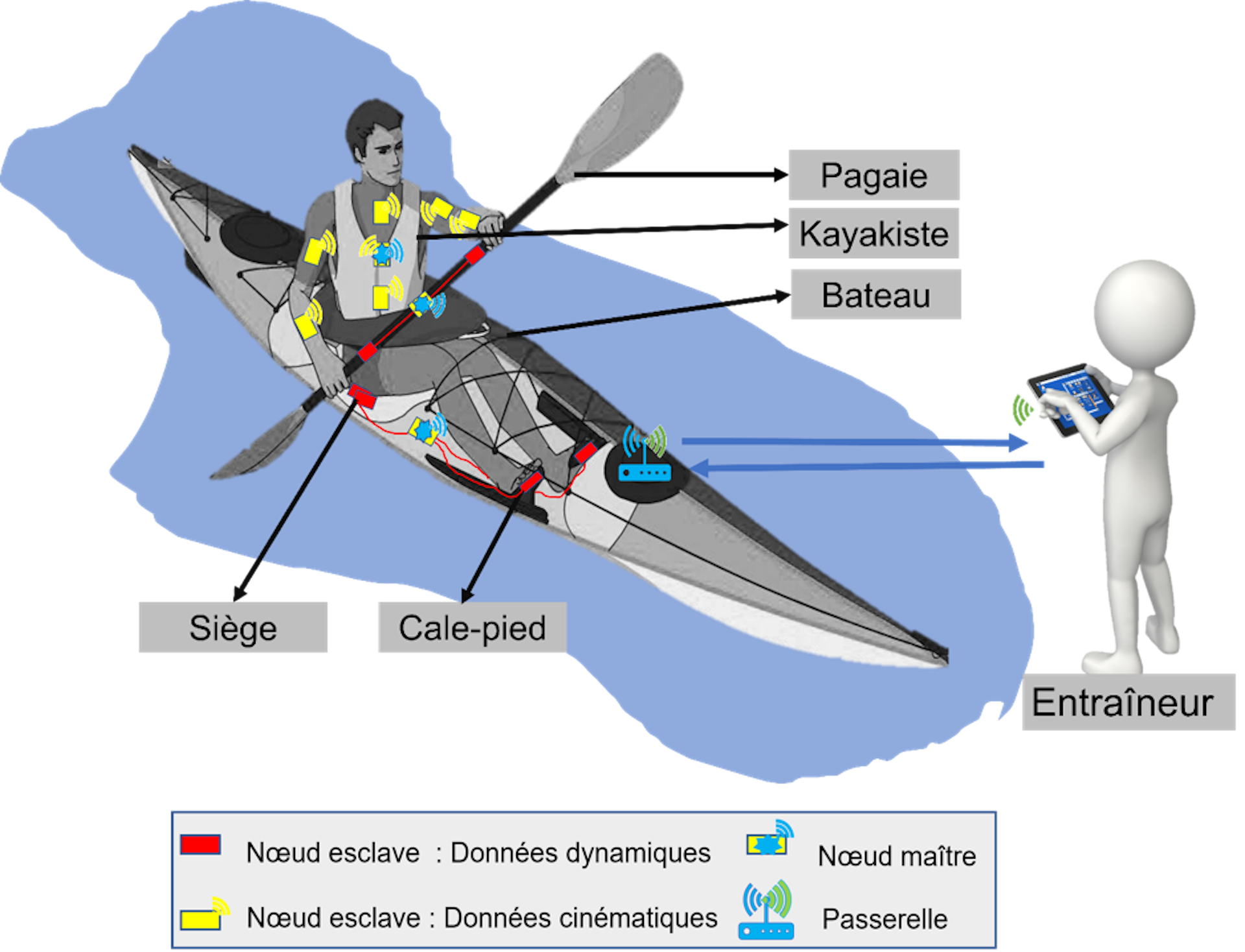 Mieux mesurer les performances en kayak de haut niveau