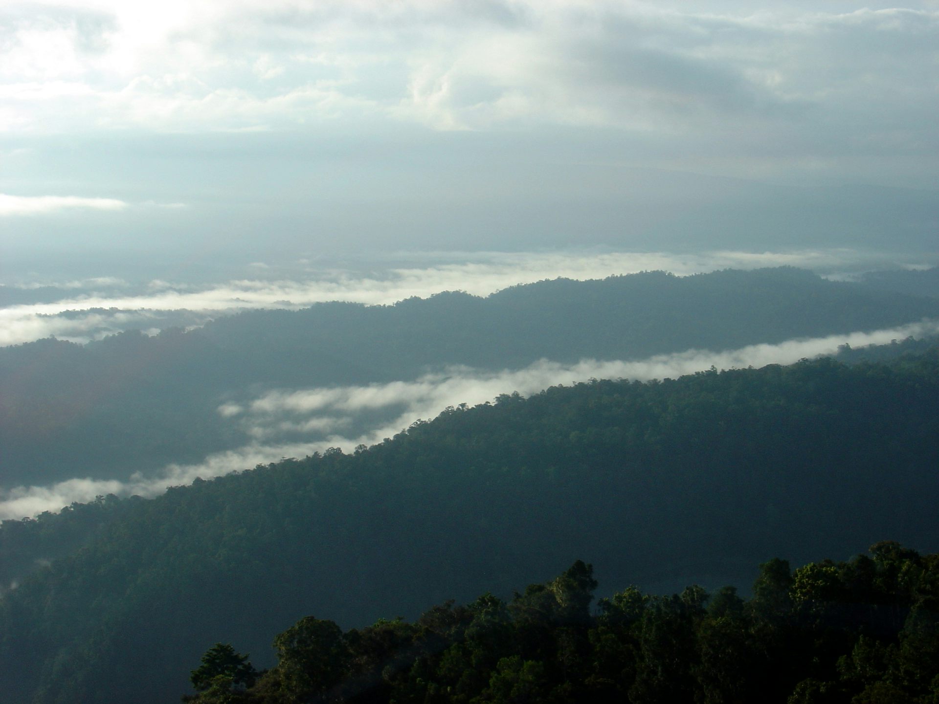 Kisah Orang Tugutil: nomad terakhir Halmahera yang terhimpit raksasa ...