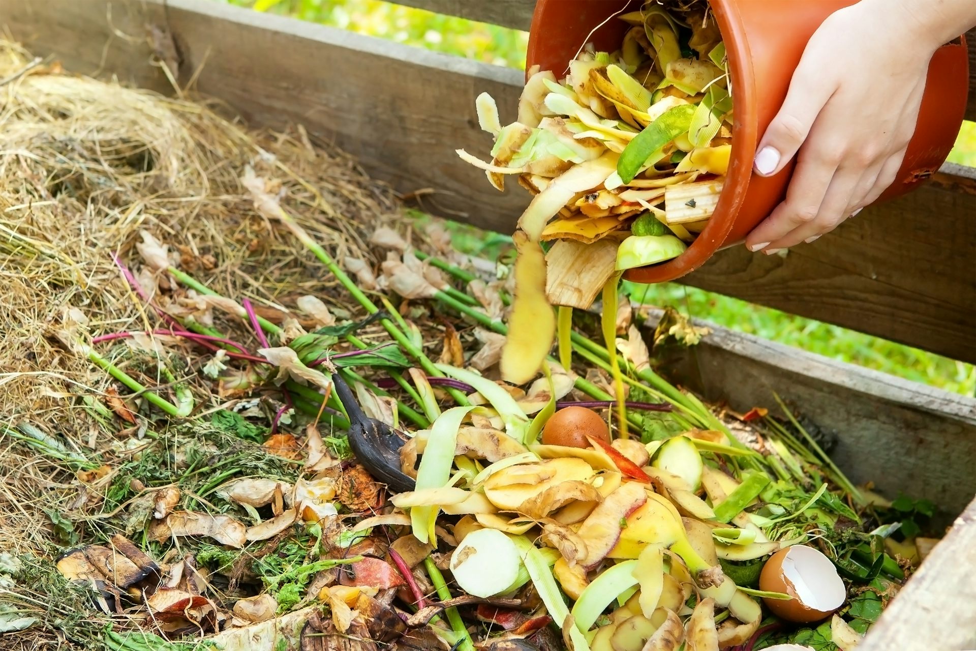 L’histoire peu connue du compost en France : de la chasse à l’engrais à ...