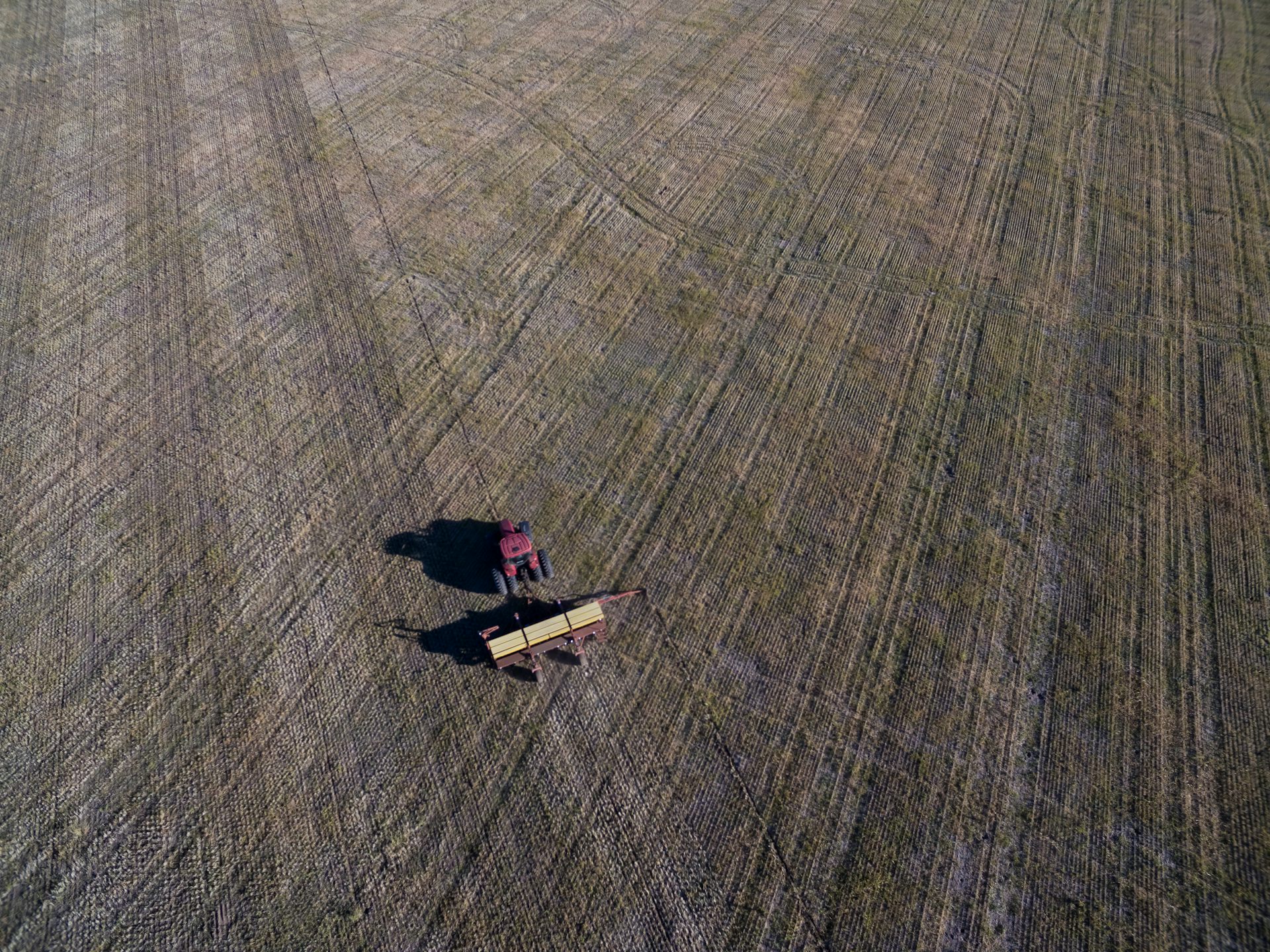 Comment l’Argentine s’est entièrement façonnée autour des OGM