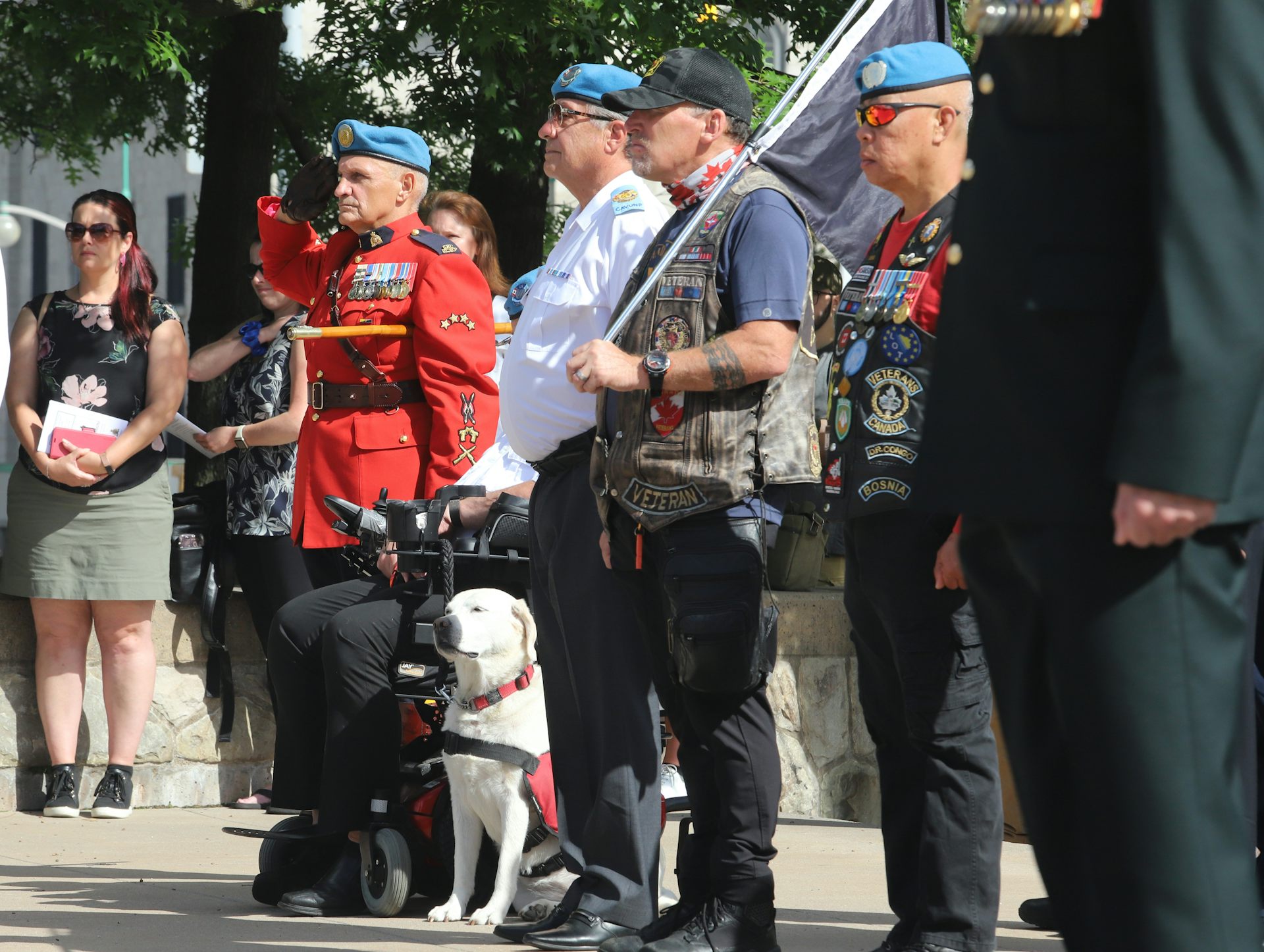 Service dogs play vital roles for veterans, but Canada’s lack of ...