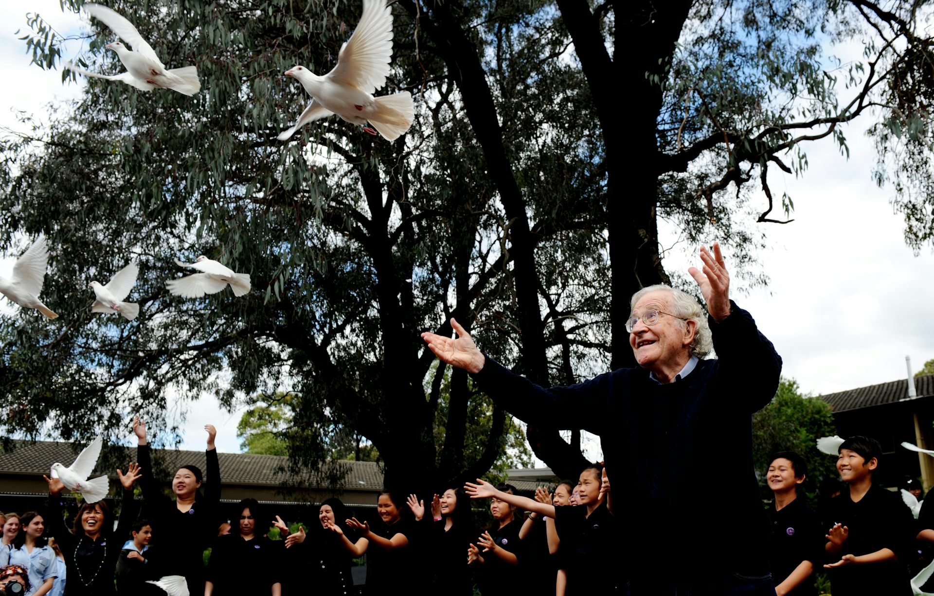 Chomsky, linguistics, politics and a response to an unfair allegation