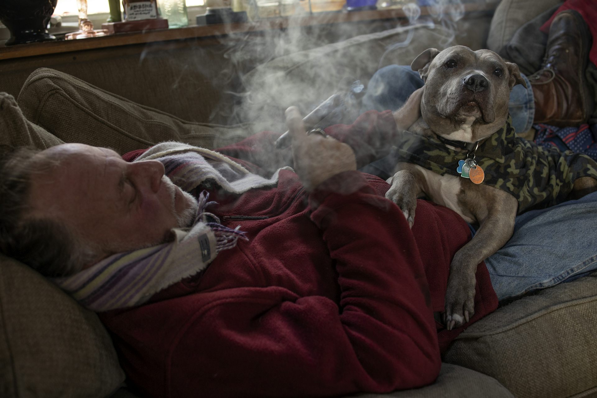 Is your pet exposed to secondhand smoke? Here are the (serious) health ...