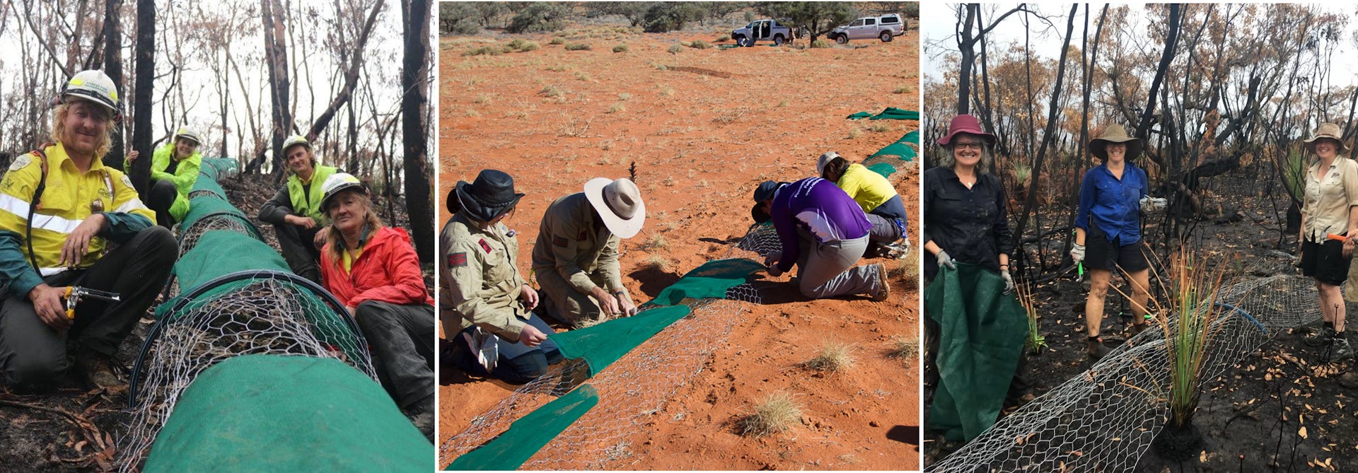 Our native animals are easy prey after a fire. Could artificial refuges ...