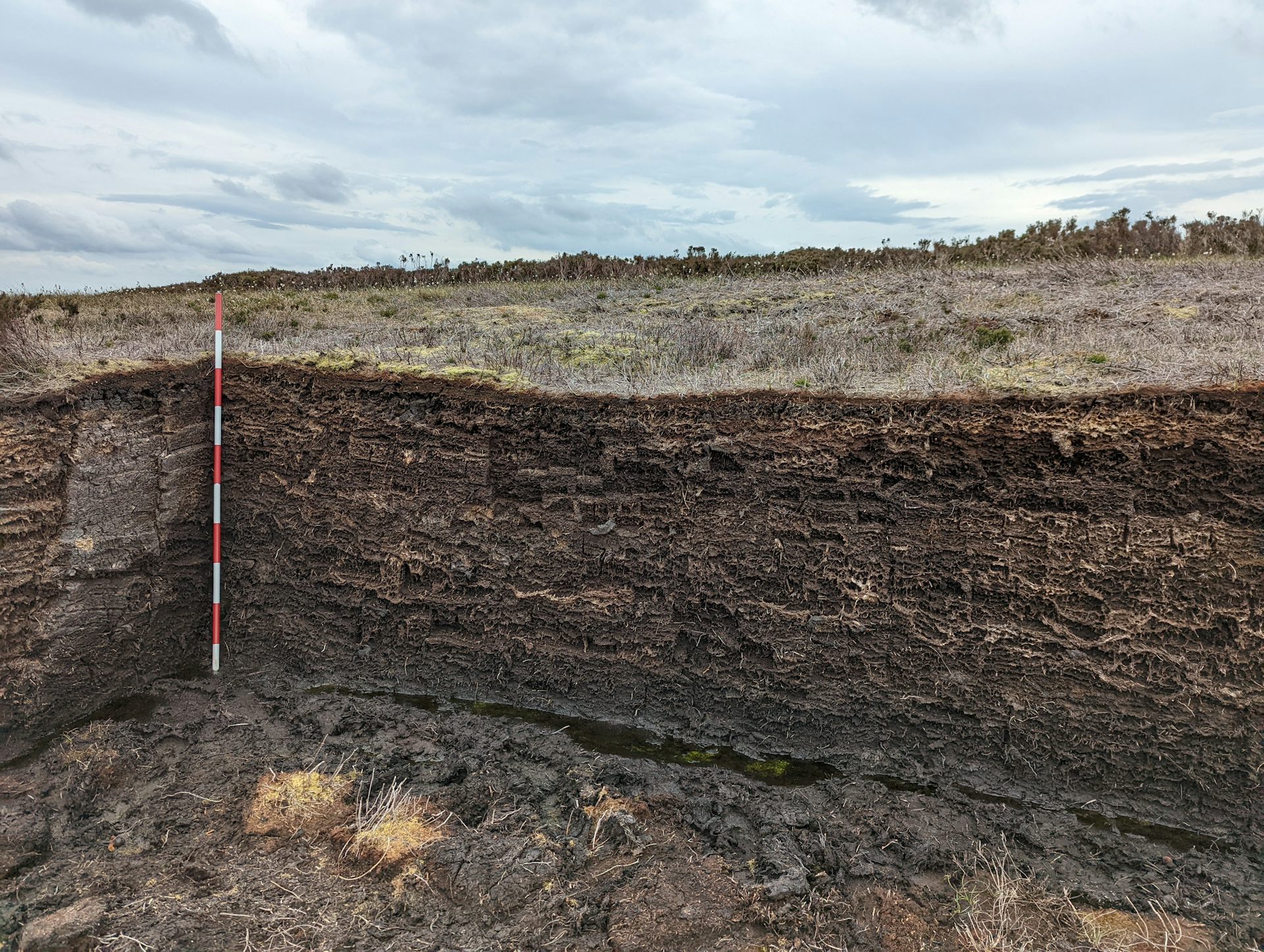 The bog is where forensics and archaeology meet to solve ‘cold cases’