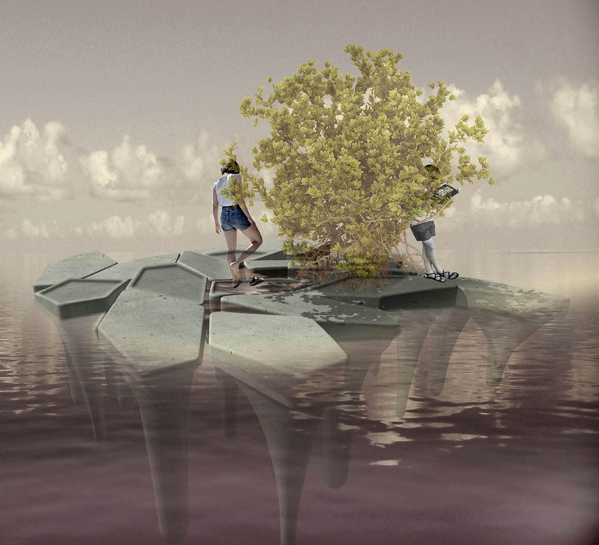 Ocean forests: how ‘floating’ mangroves could provide a broad range of ...