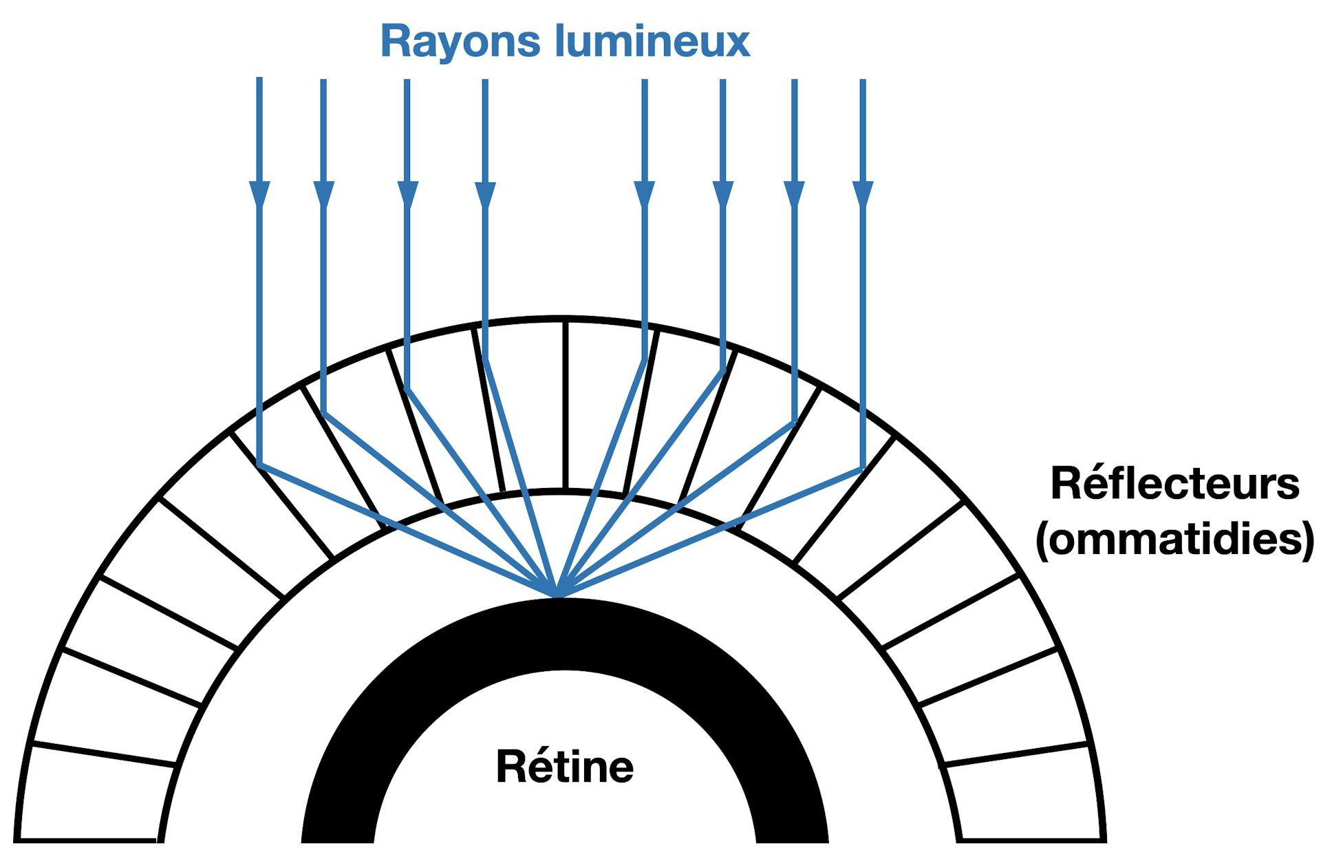 Trous noirs : deux missions spatiales à l’affût des cataclysmes cosmiques