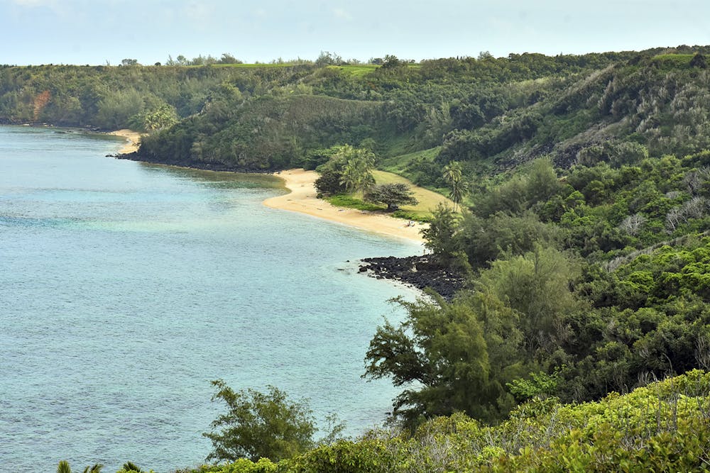 Billionaires Are Building Bunkers And Buying Islands But Are They