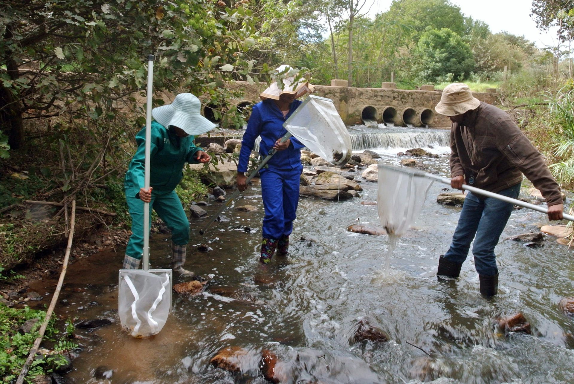 Sewage leaks put South Africa’s freshwater at risk: how citizen ...