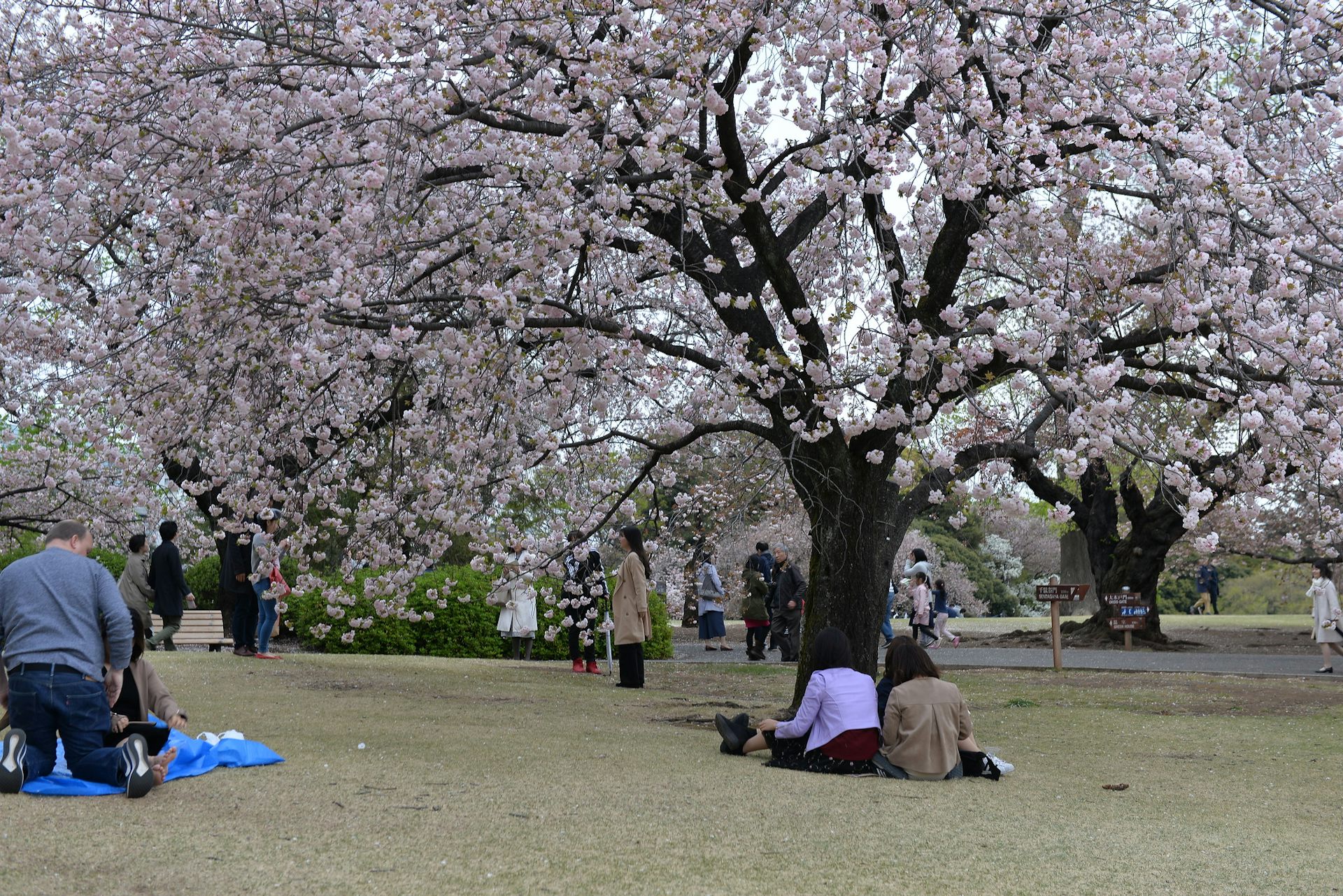 Culture – The Conversation France