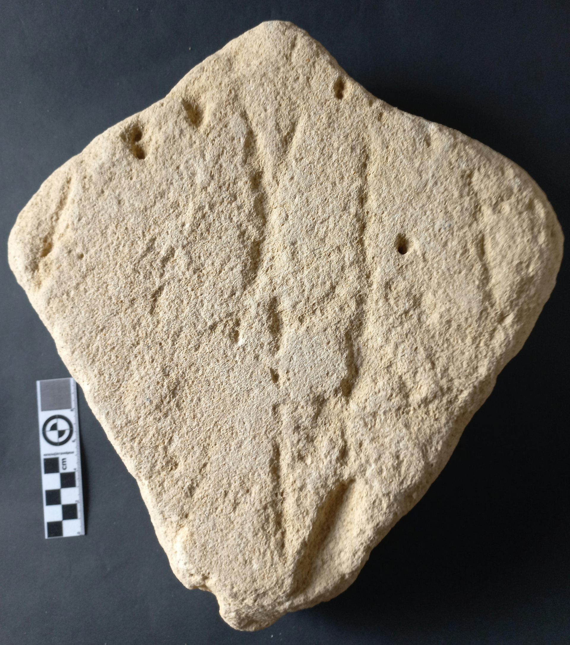 Stingray sand ‘sculpture’ on South Africa’s coast may be oldest example ...