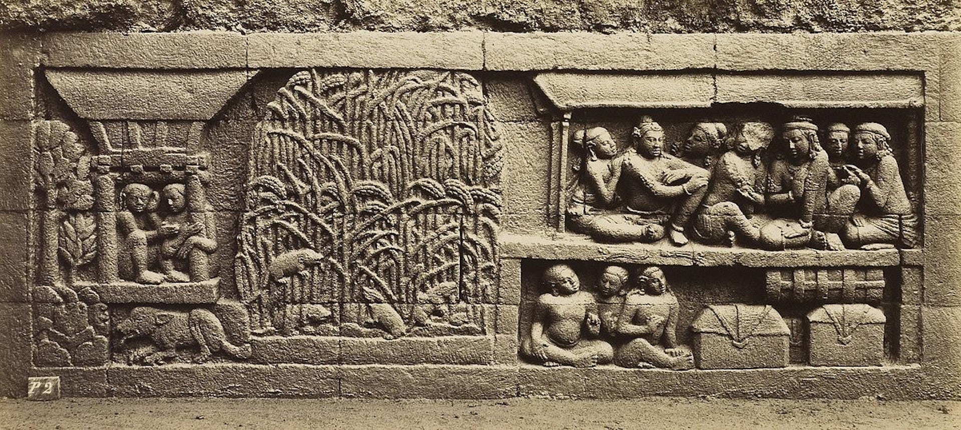 Hikayat beras nusantara dan mengapa Indonesia amat tergantung dengan nasi