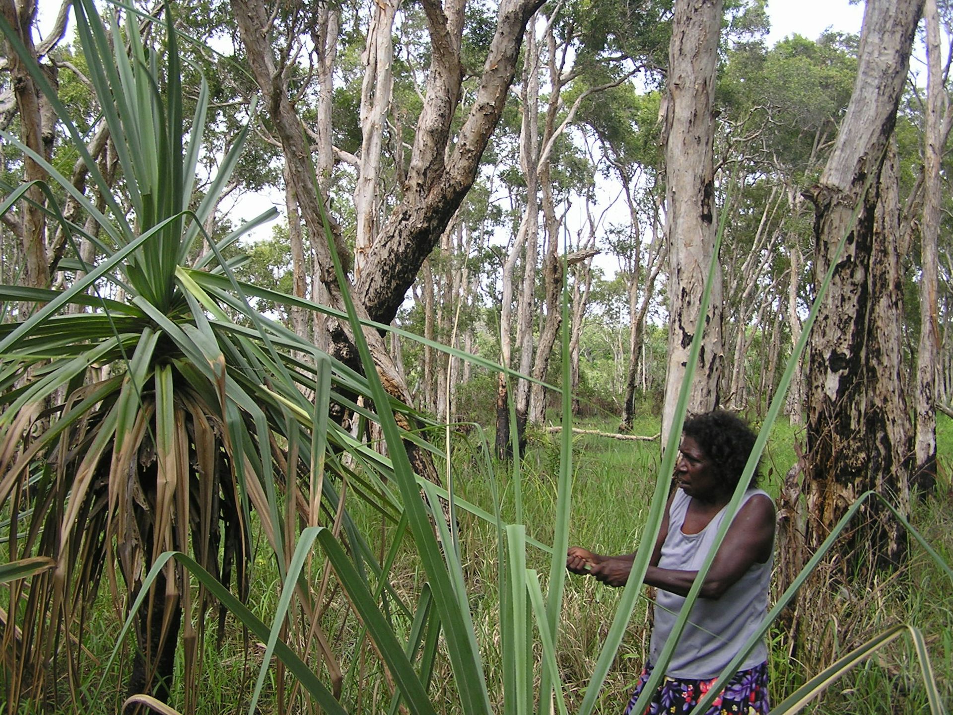 Welcome to my Country: seeing the true beauty of life in Bawaka